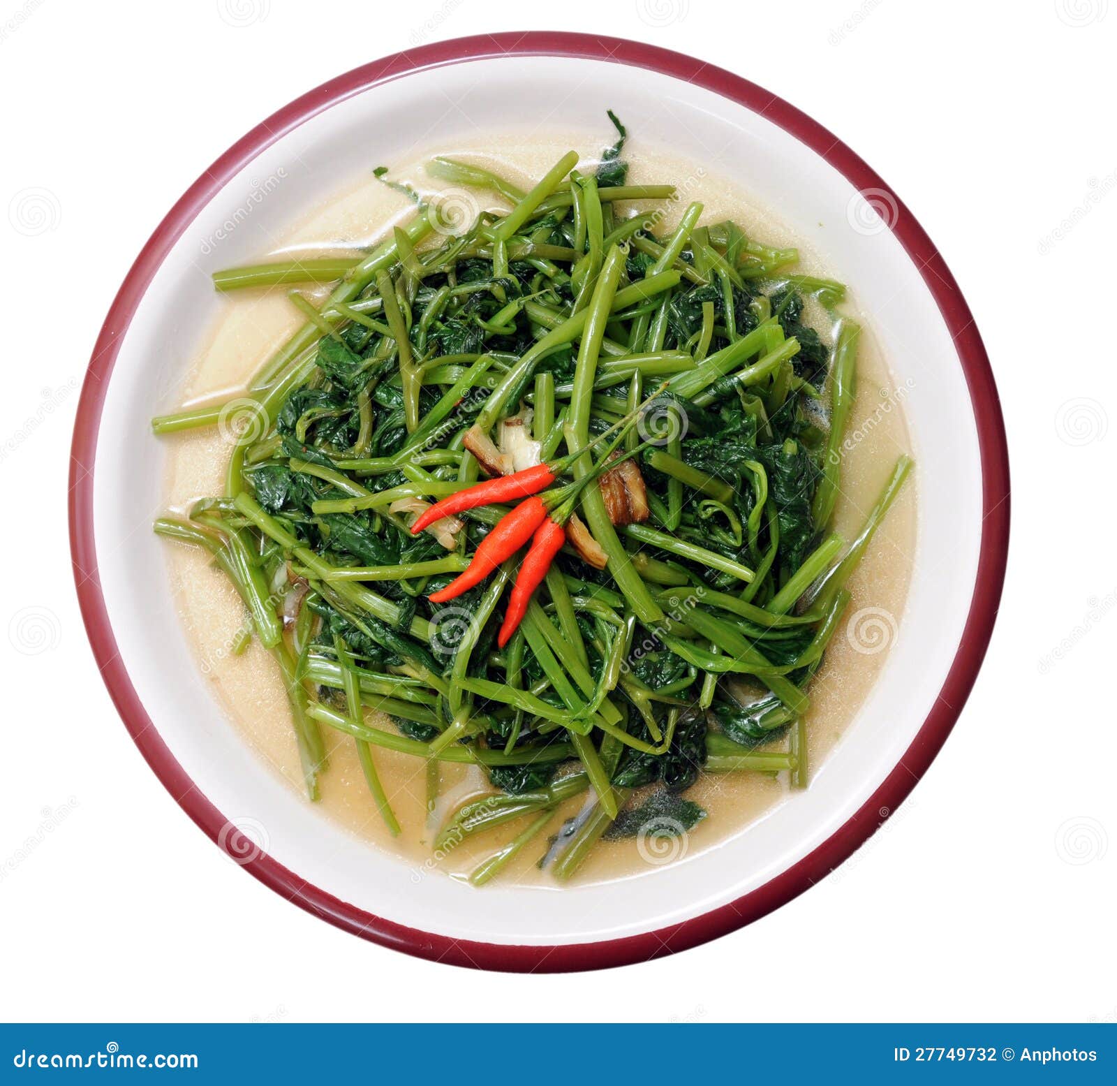 Swamp Cabbage, Swamp Cabbage White Stem, Water Morning Glory (Ipomoea ...