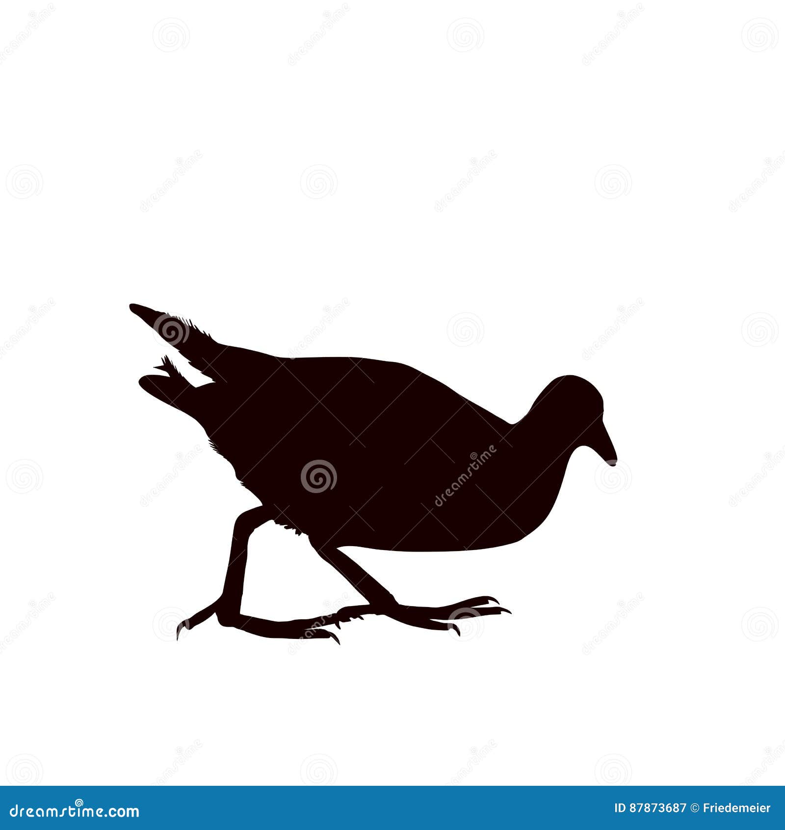 Swamp chicken - Silhouette stock vector. Illustration of chicken - 87873687