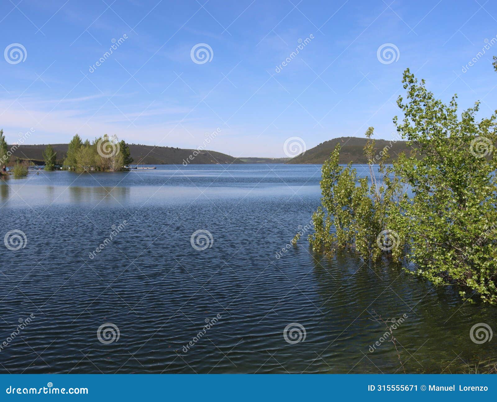 Swamp Dam Water Storage Lake Immense River Stock Image - Image of trees ...