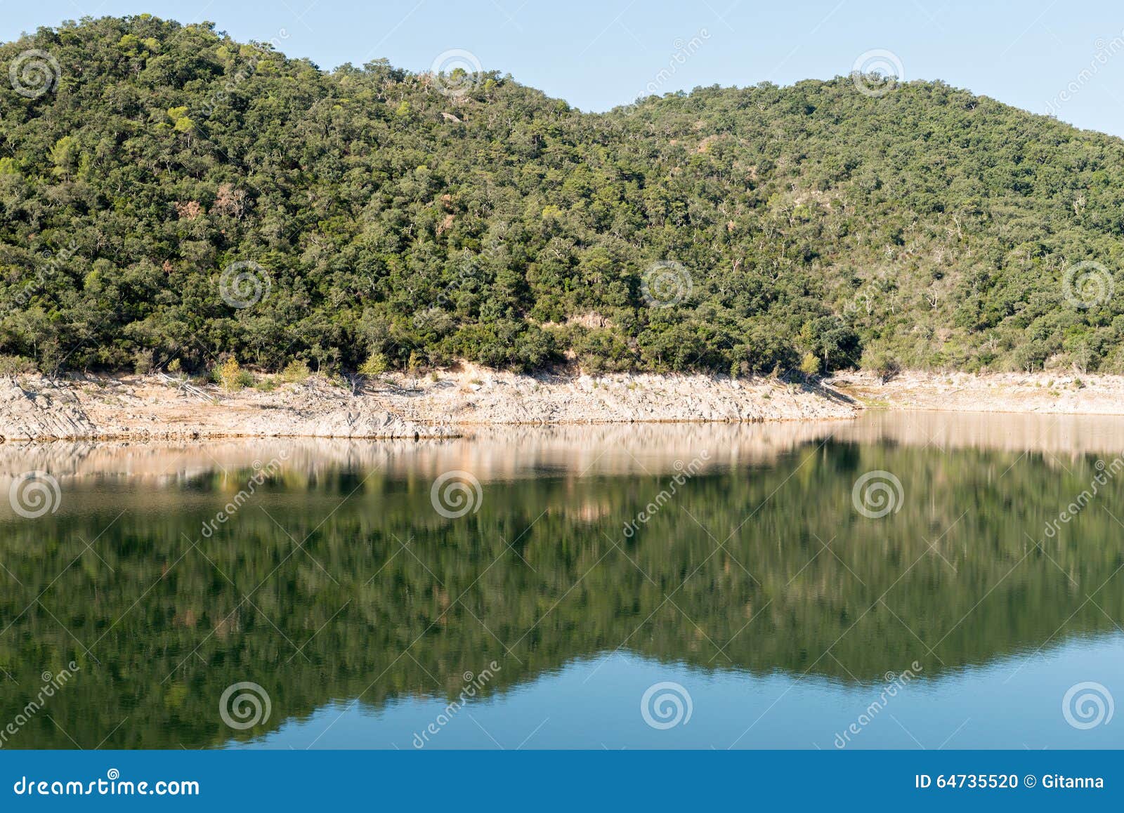 Swamp DARNIUS-BOADELLA (Girona) Stock Photo - Image of darnius, emporda ...