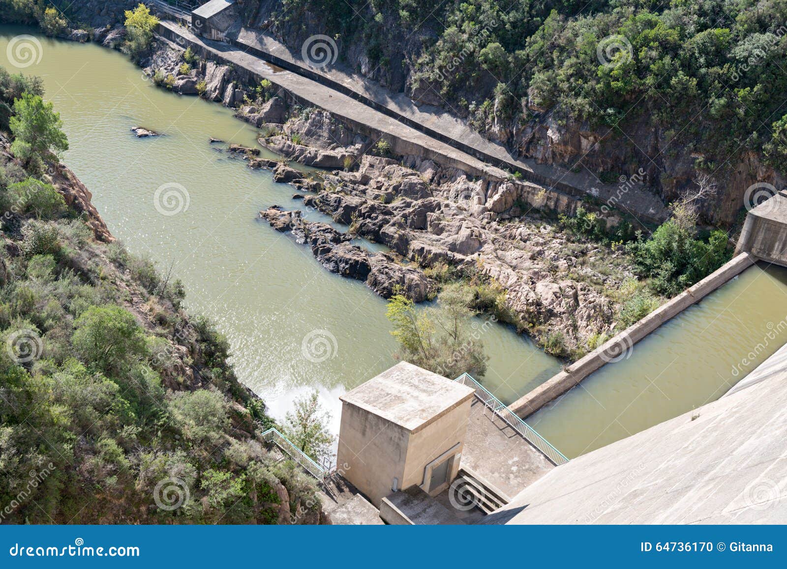 Swamp DARNIUS-BOADELLA (Girona) Stock Photo - Image of roses, plant ...