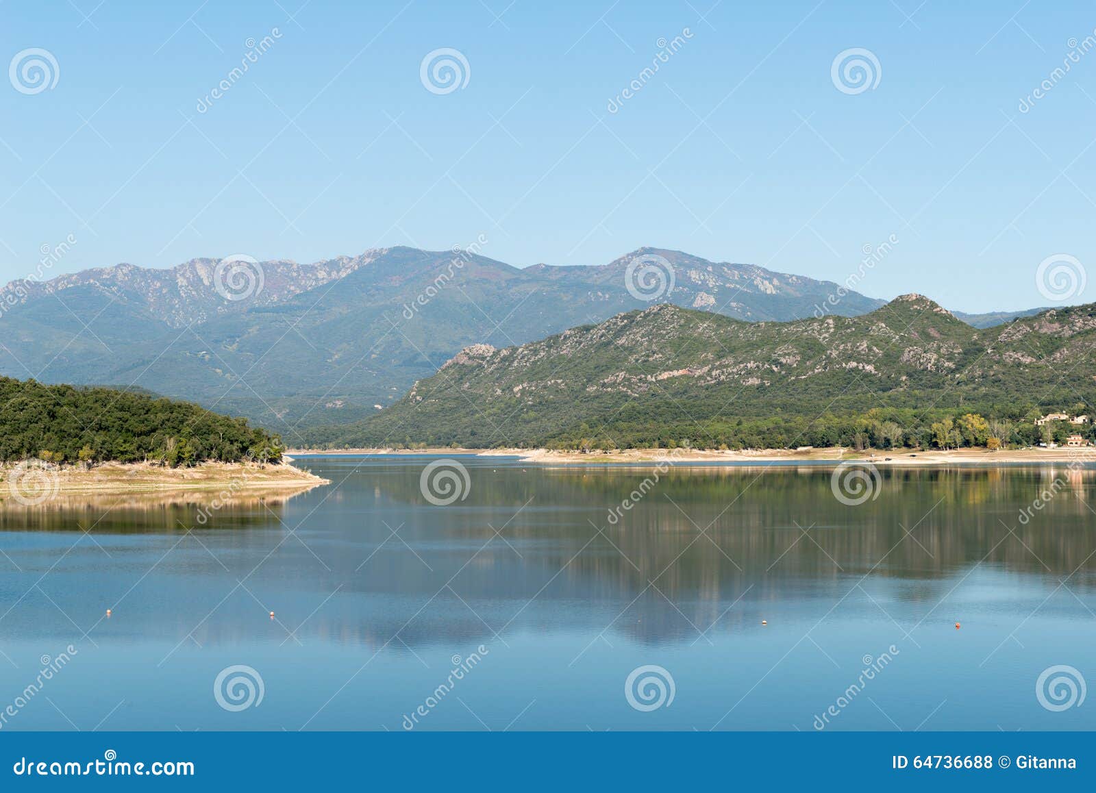Swamp DARNIUS-BOADELLA (Girona) Stock Photo - Image of swamp, boadella ...