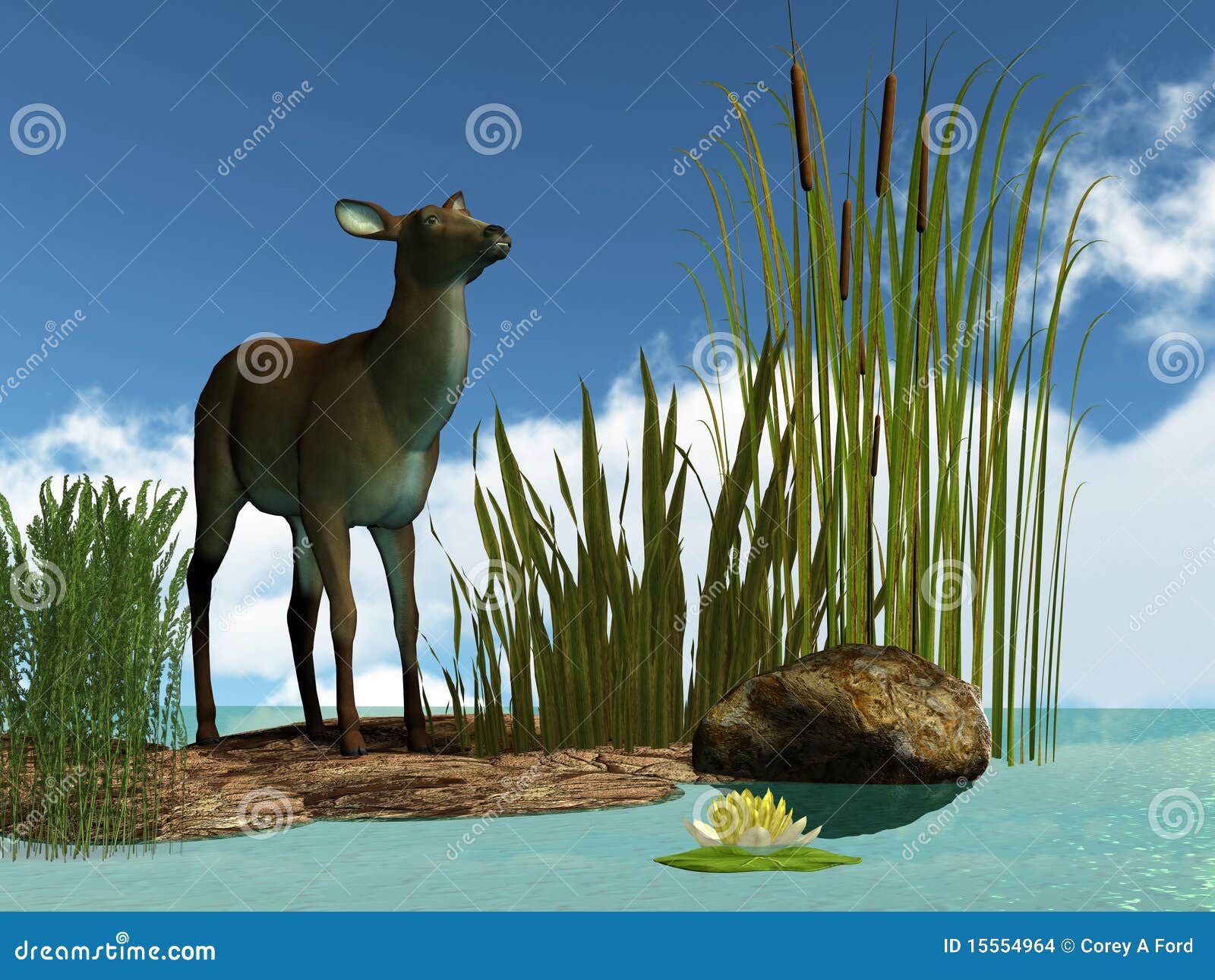 Swamp Deer stock illustration. Illustration of plant - 15554964