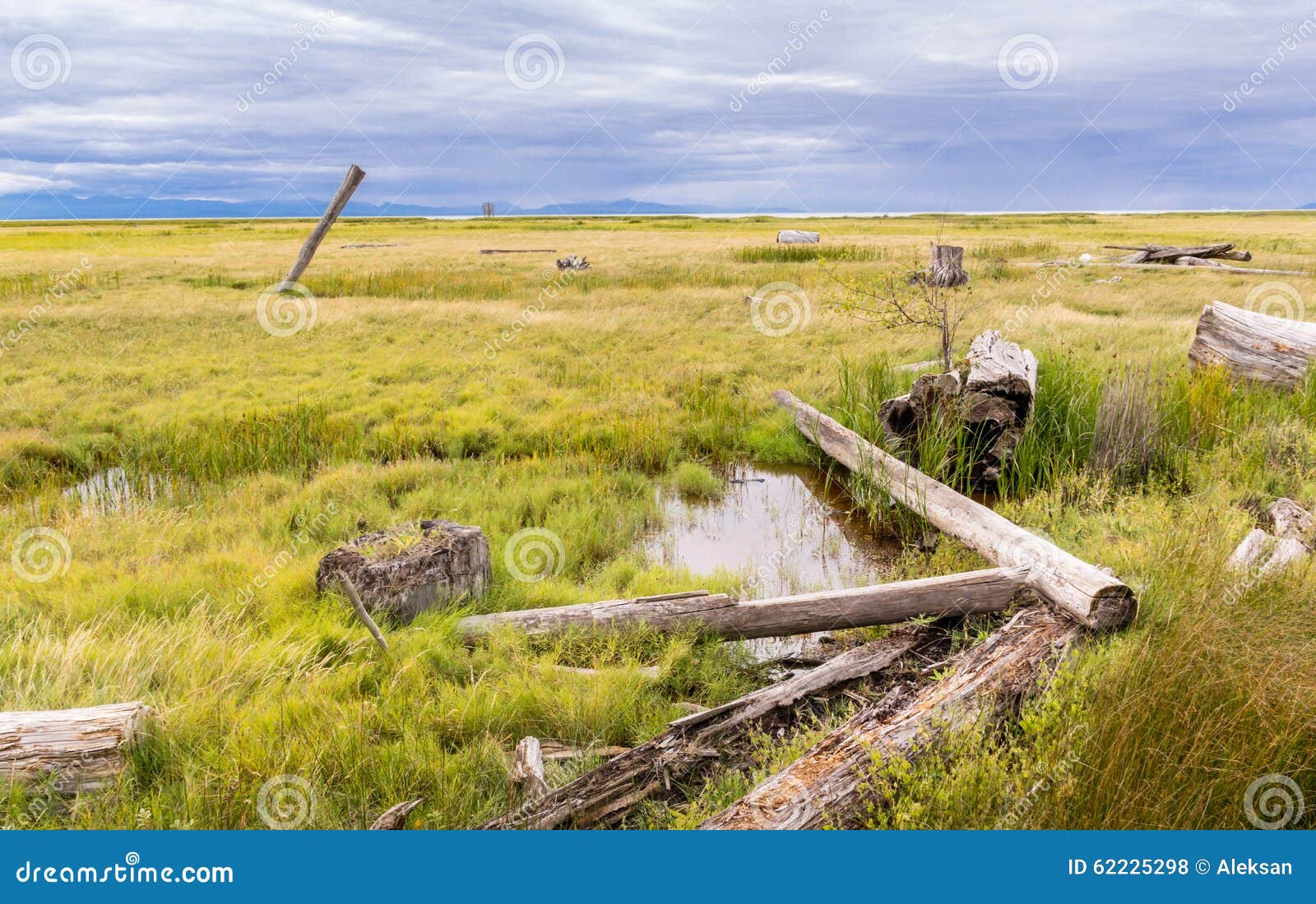 Swamp at fall evening stock photo. Image of swamp, blue - 62225298