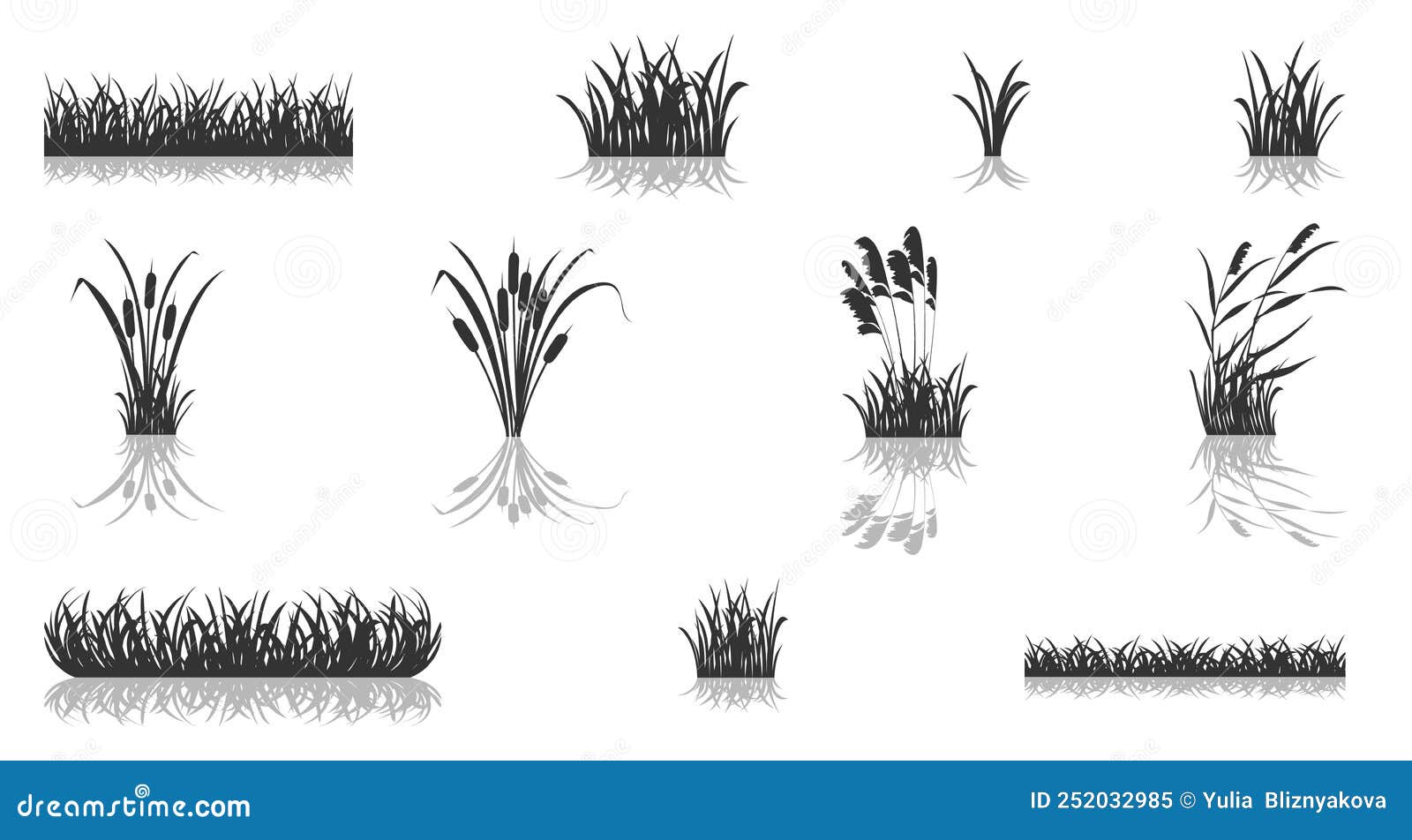 Swamp Grass Silhouette with Reeds is Mirrored. Set of Vector ...