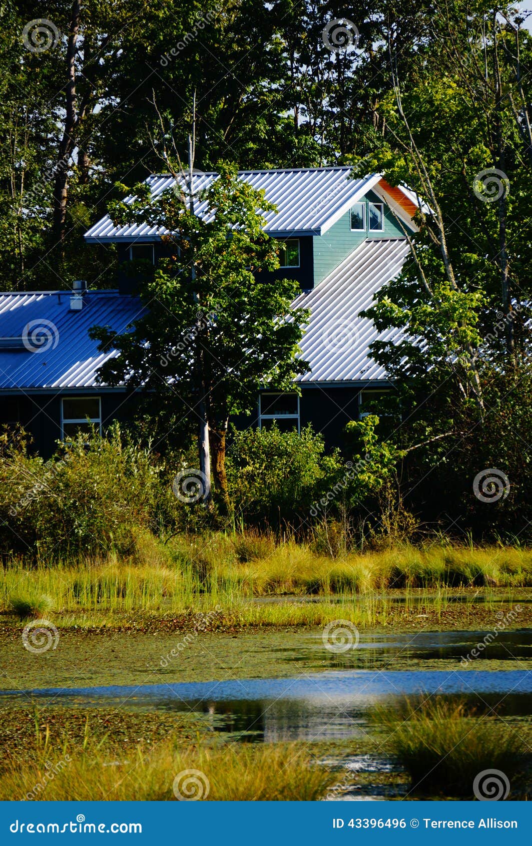 Swamp house stock photo. Image of surrounded, barn, fields - 43396496