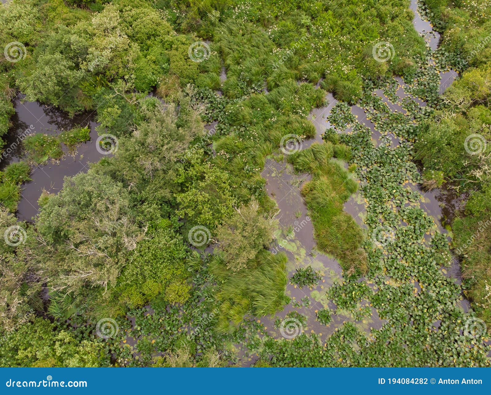 Swamp or Lake with Waterways Top View Stock Photo - Image of field ...
