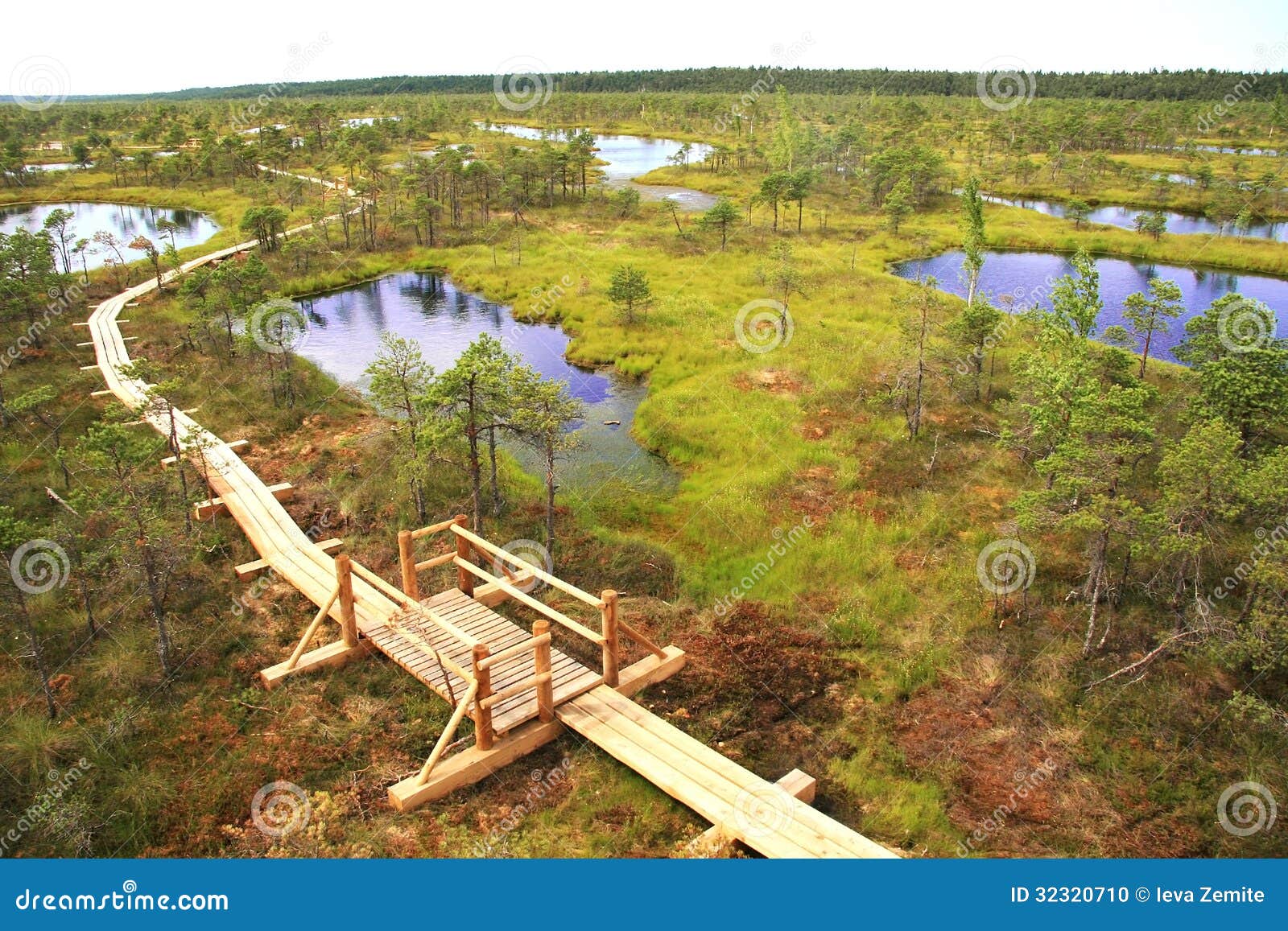 Swamp lakes stock photo. Image of footpath, forest, black - 32320710