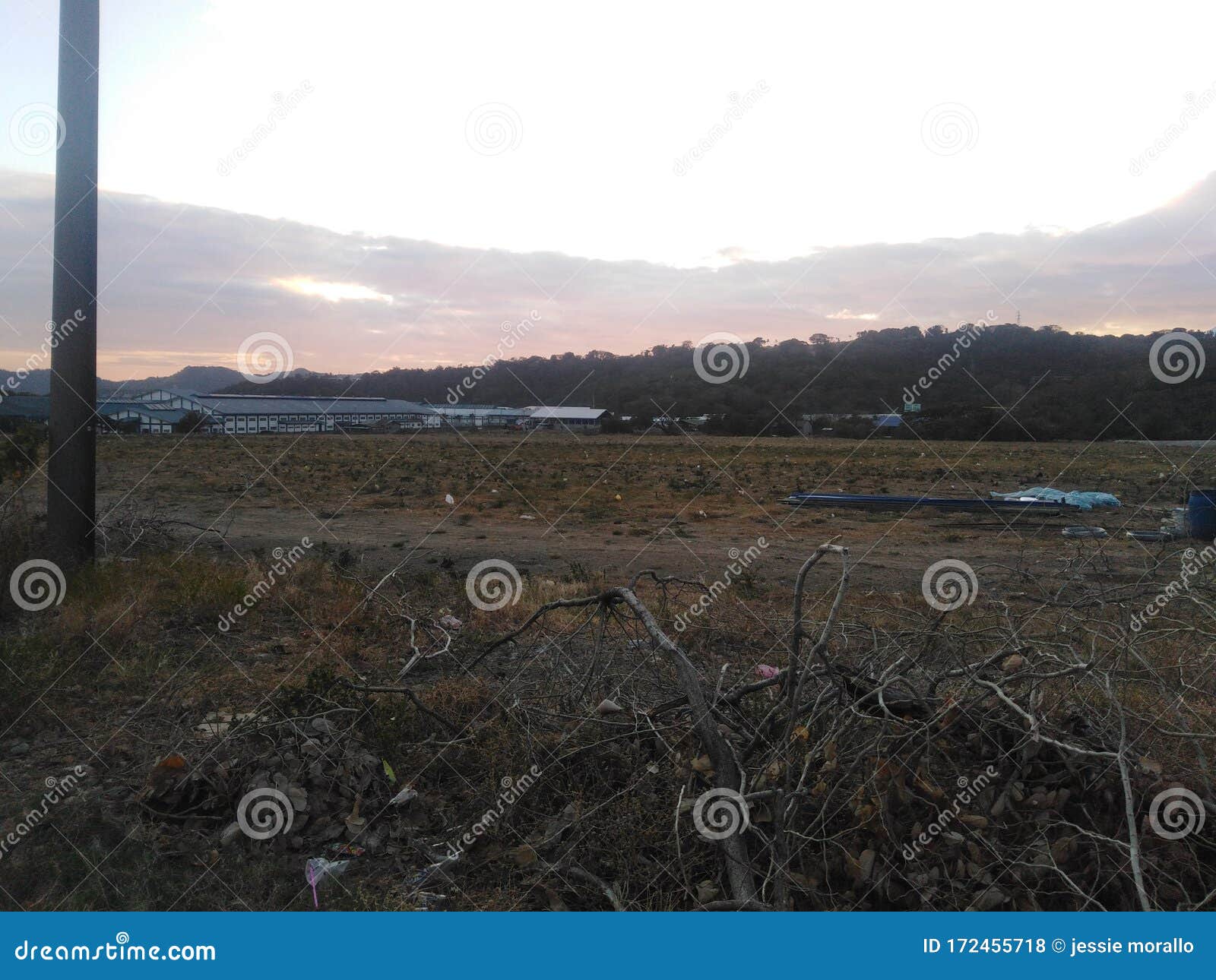 The SWAMP LAND stock photo. Image of land, soil, swamp - 172455718
