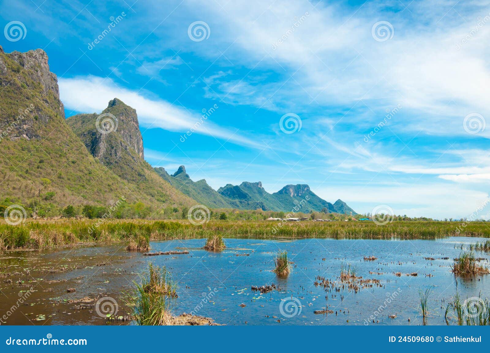 Swamp Land Front of the Mountain with Beautiful Sk Stock Photo - Image ...