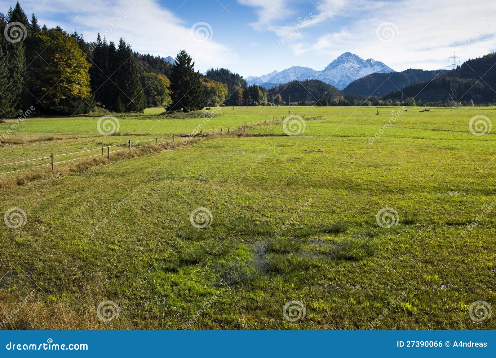 Swamp and Meadow at Autumn with Sky Stock Photo - Image of nature, lake ...
