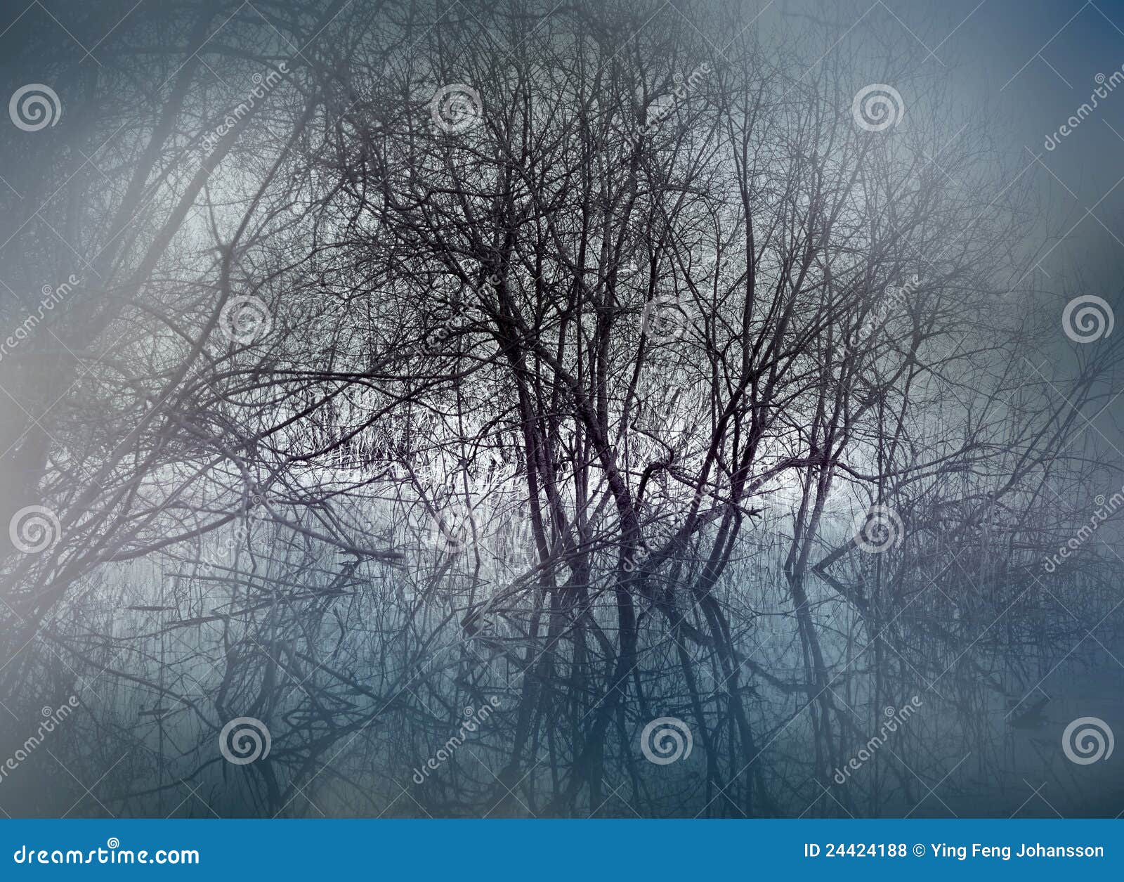 Swamp in mist stock photo. Image of misty, swamp, bush - 24424188