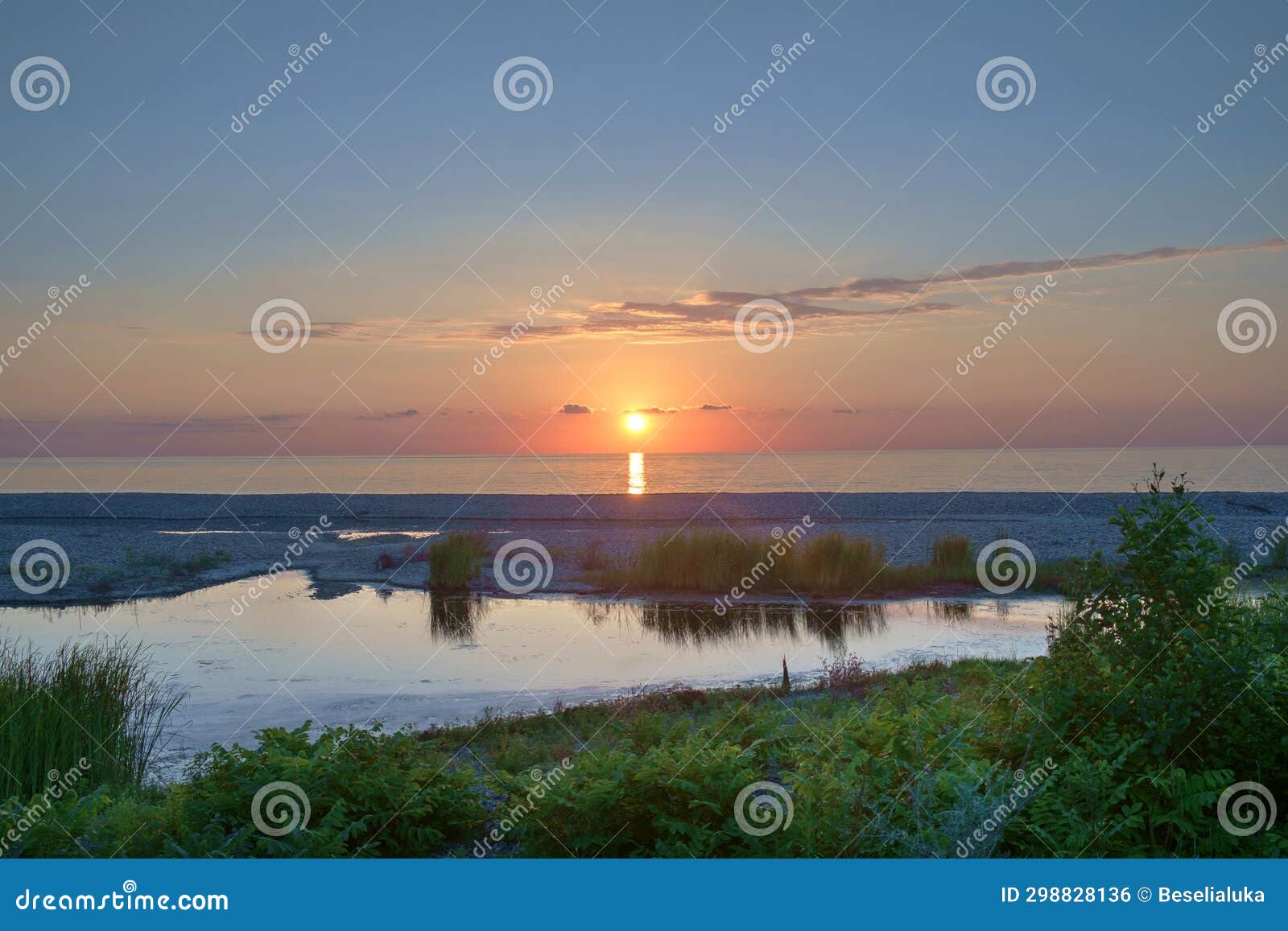 Swamp near the sea stock photo. Image of rural, water - 298828136