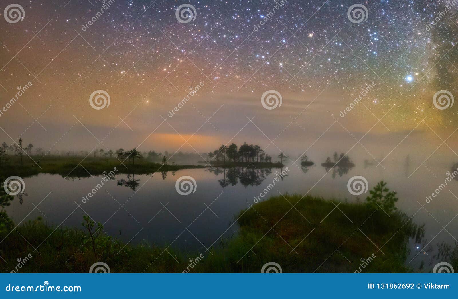 Swamp in the night stock photo. Image of nightscape - 131862692