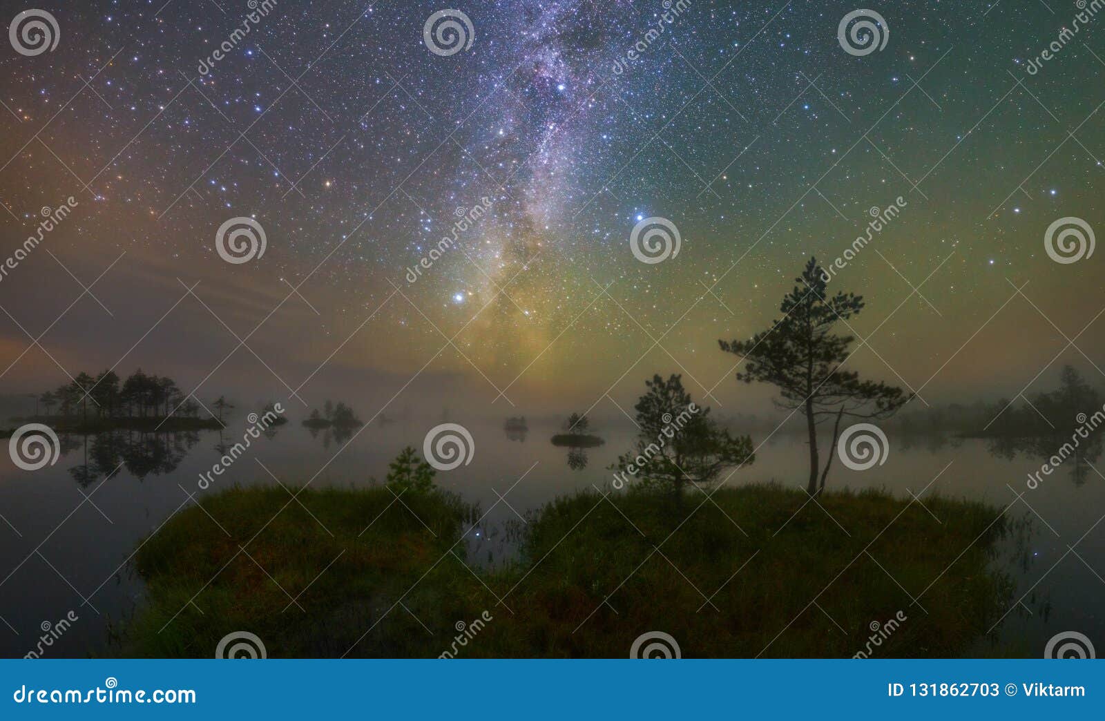 Swamp in the night stock image. Image of wetland, nature - 131862703