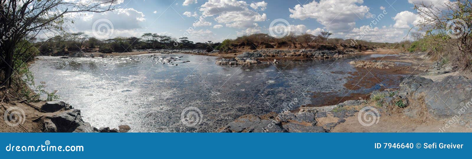 Swamp in the Serengeti - Panoramic View Stock Photo - Image of group ...