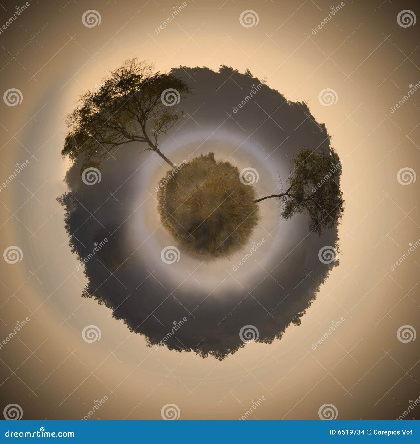 Swamp sphere stock photo. Image of concept, sphere, fictitious - 6519734