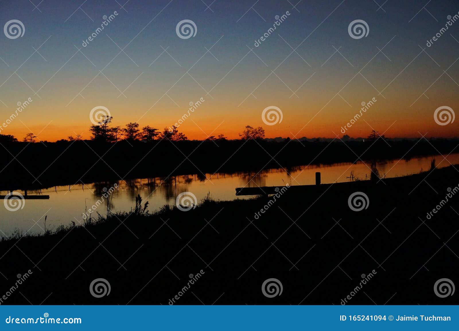 Swamp Sunrise in Florida stock photo. Image of biome - 165241094