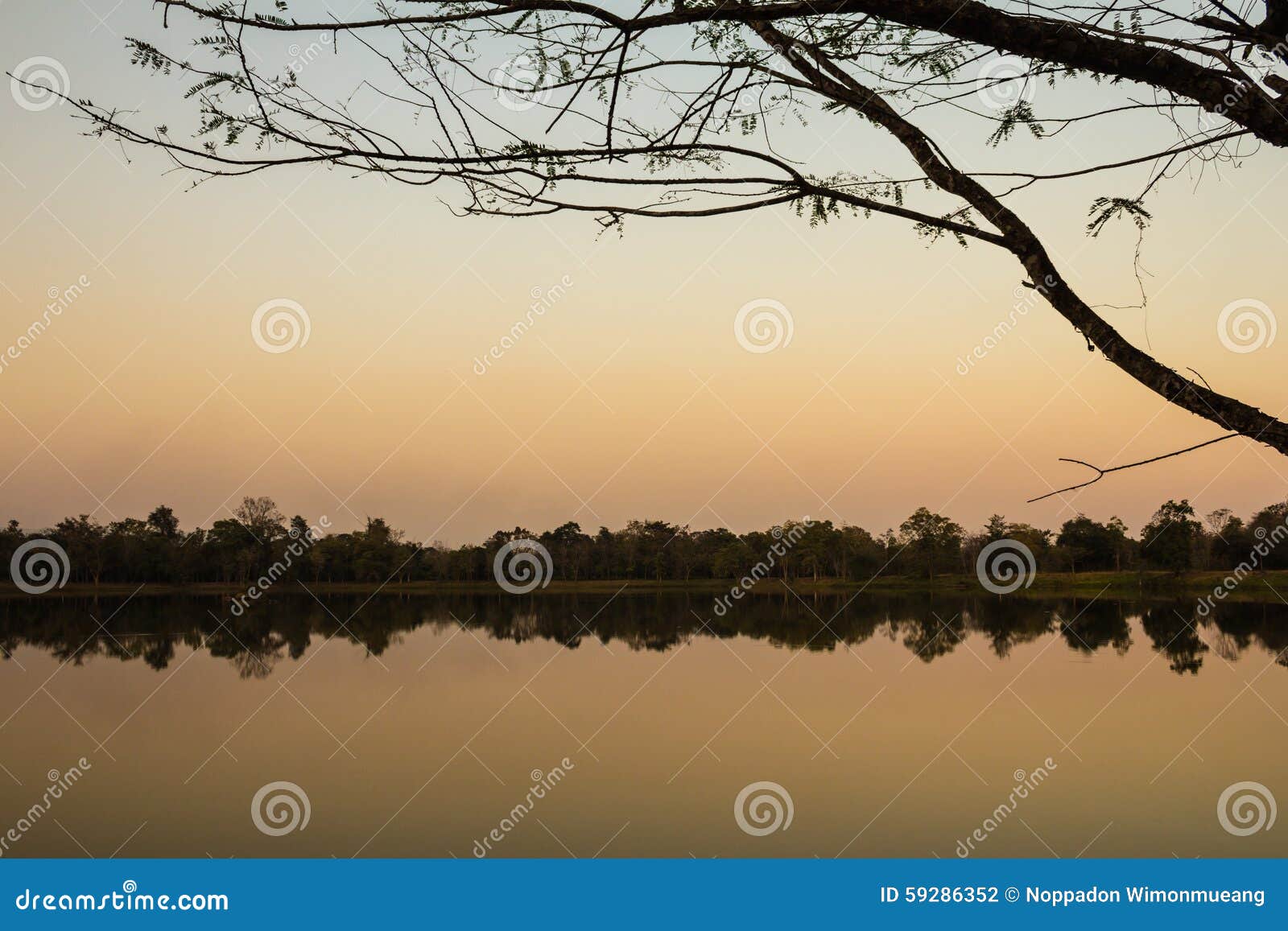 Swamp Sunset stock photo. Image of lake, natural, sunset - 59286352