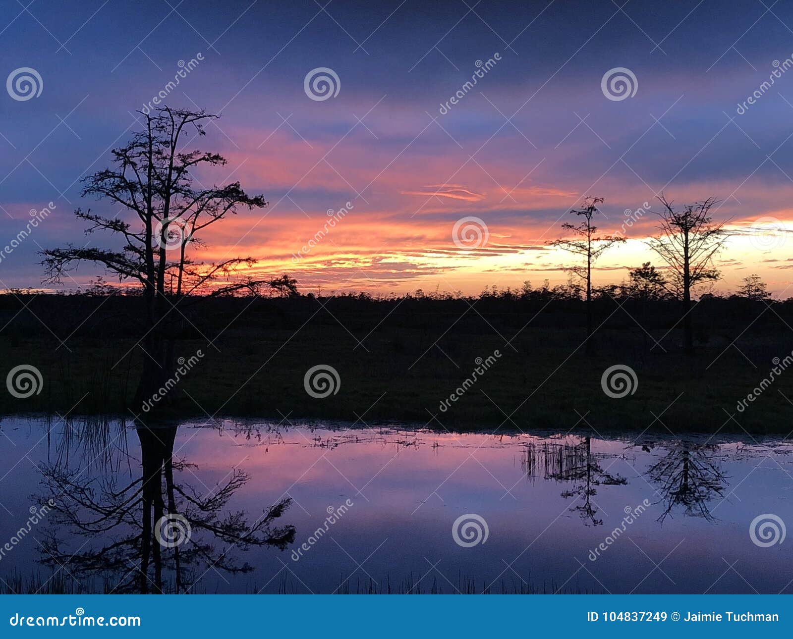 Swamp Sunsets in the Louisiana Marsh Stock Image - Image of natural ...