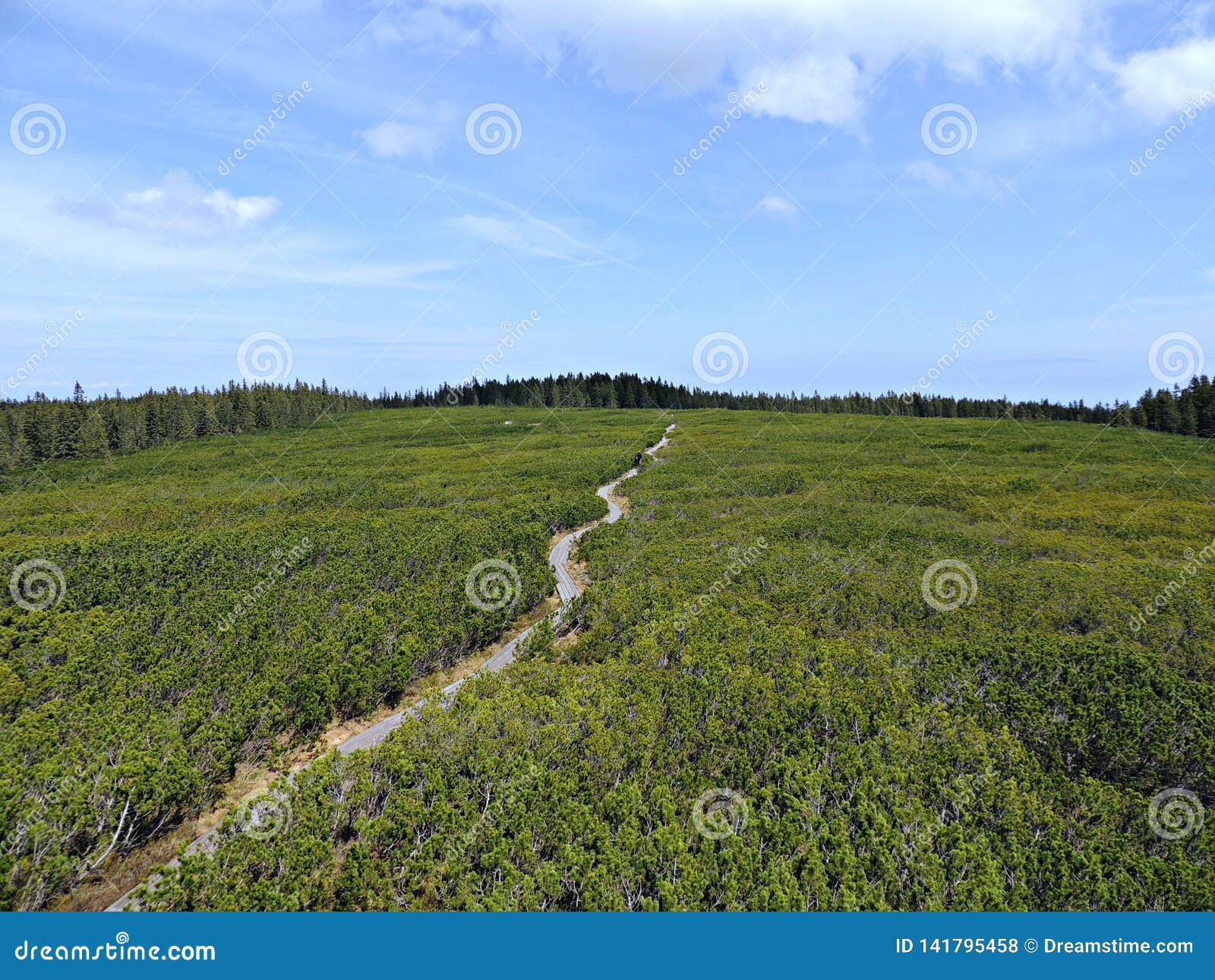 Swamp on the Top of the Hill Stock Photo - Image of nature, aerial ...