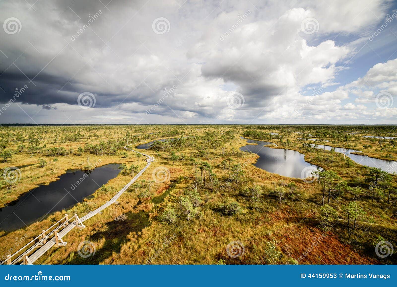 Swamp View Wtih Lakes and Footpath Stock Image - Image of nature, heath ...