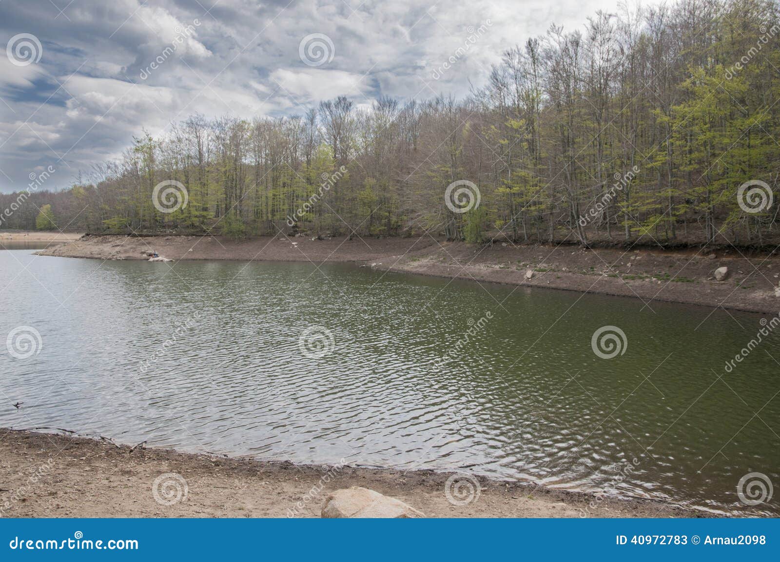 Swamp water stock image. Image of beautiful, peak, reflections - 40972783