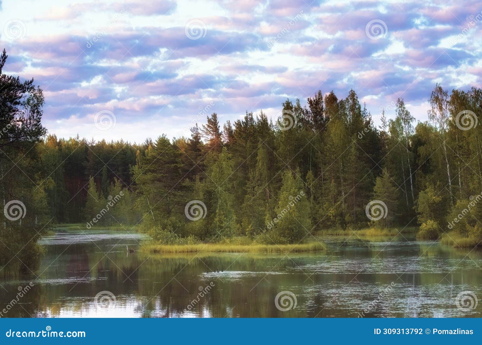 Swampy Forest Lake with Islands in Taiga at Sunset Stock Photo - Image ...