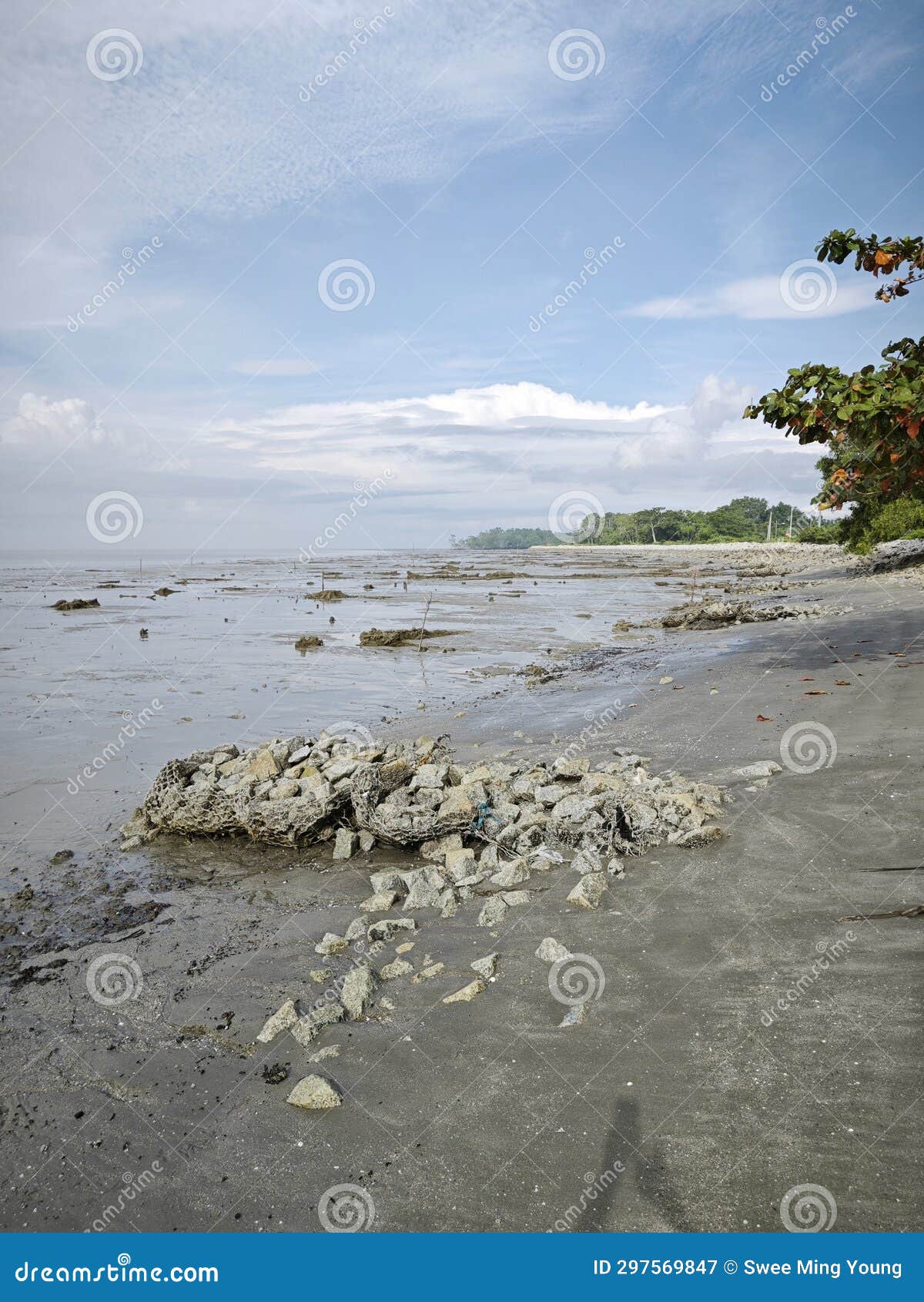 Swampy Mud Beach Environment at the Low-tide Beach. Stock Image - Image ...