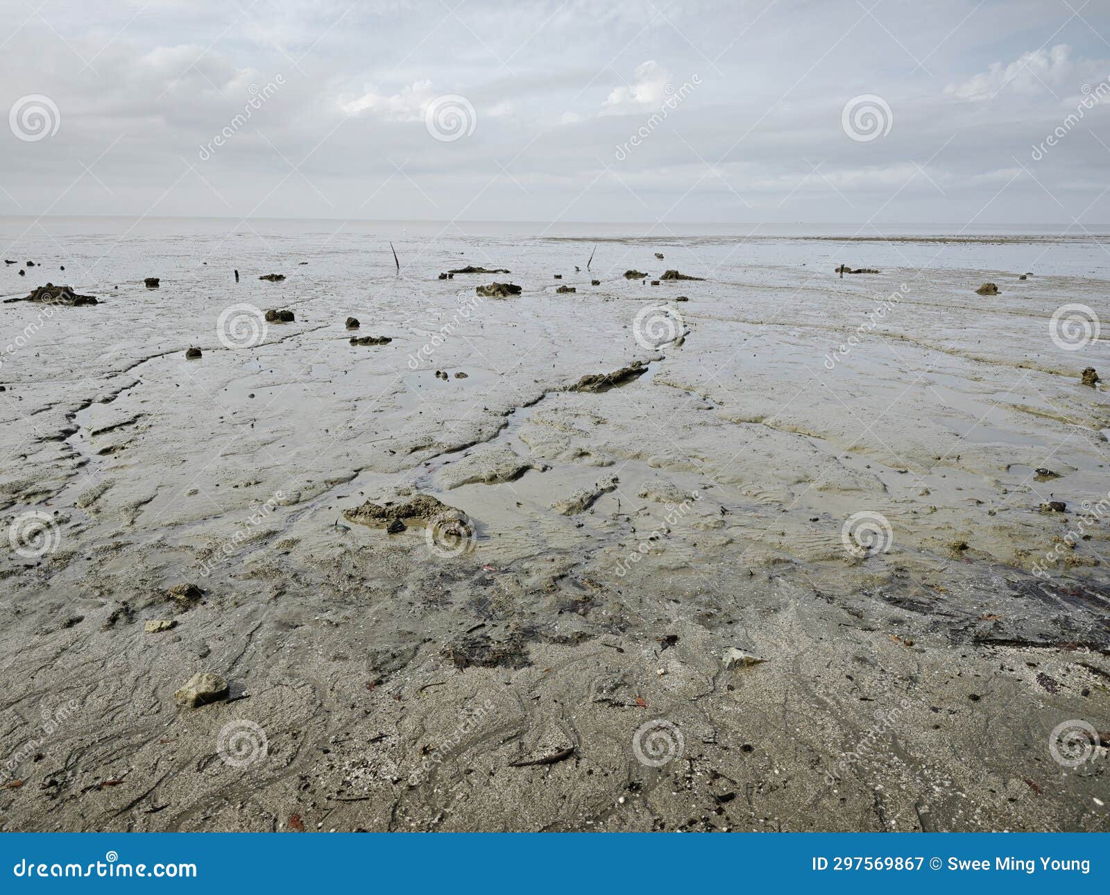 Swampy Mud Beach Environment at the Low-tide Beach. Stock Image - Image ...
