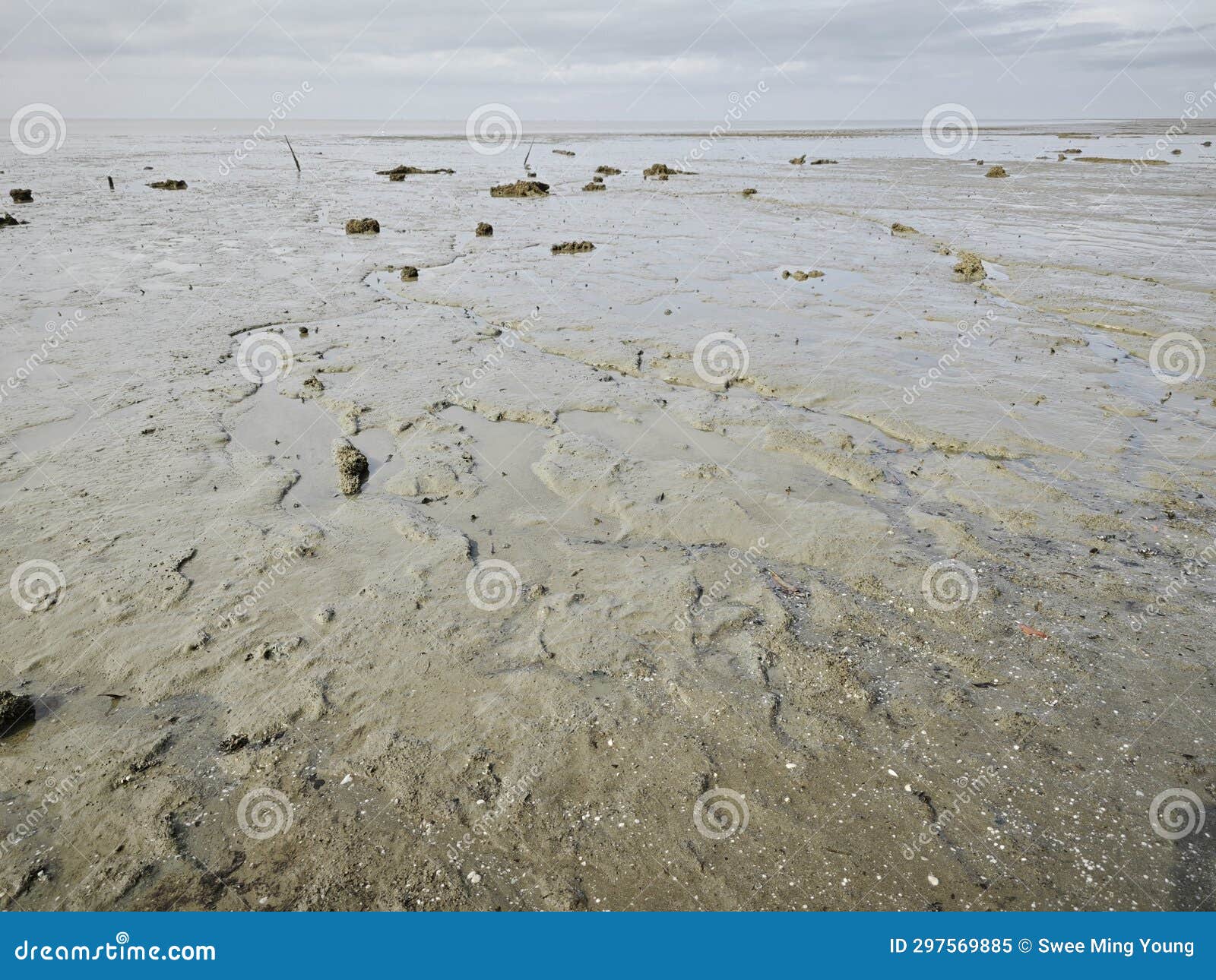 Swampy Mud Beach Environment at the Low-tide Beach. Stock Image - Image ...