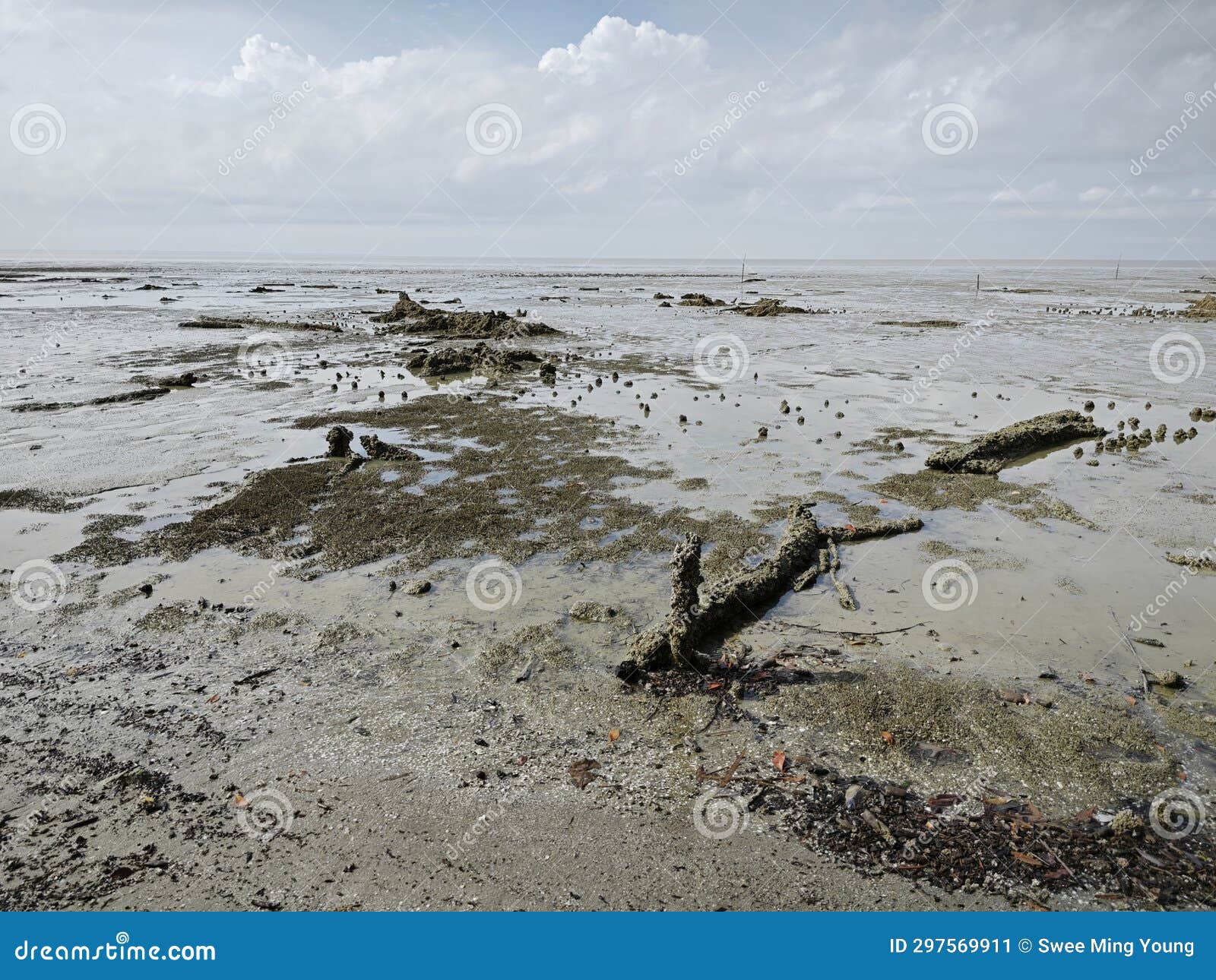Swampy Mud Beach Environment at the Low-tide Beach. Stock Image - Image ...