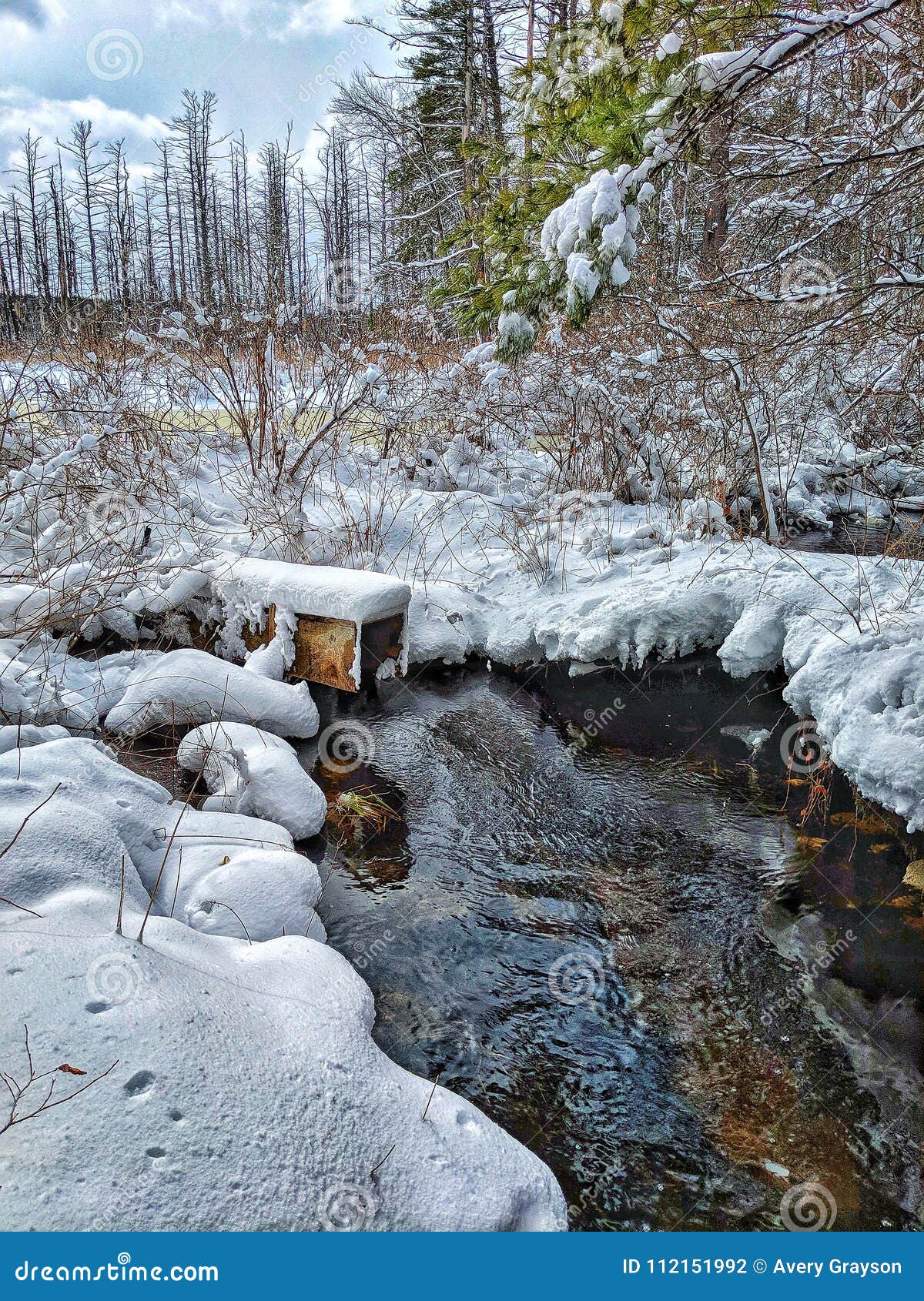 Swampy Snow stock photo. Image of water, snow, coated - 112151992