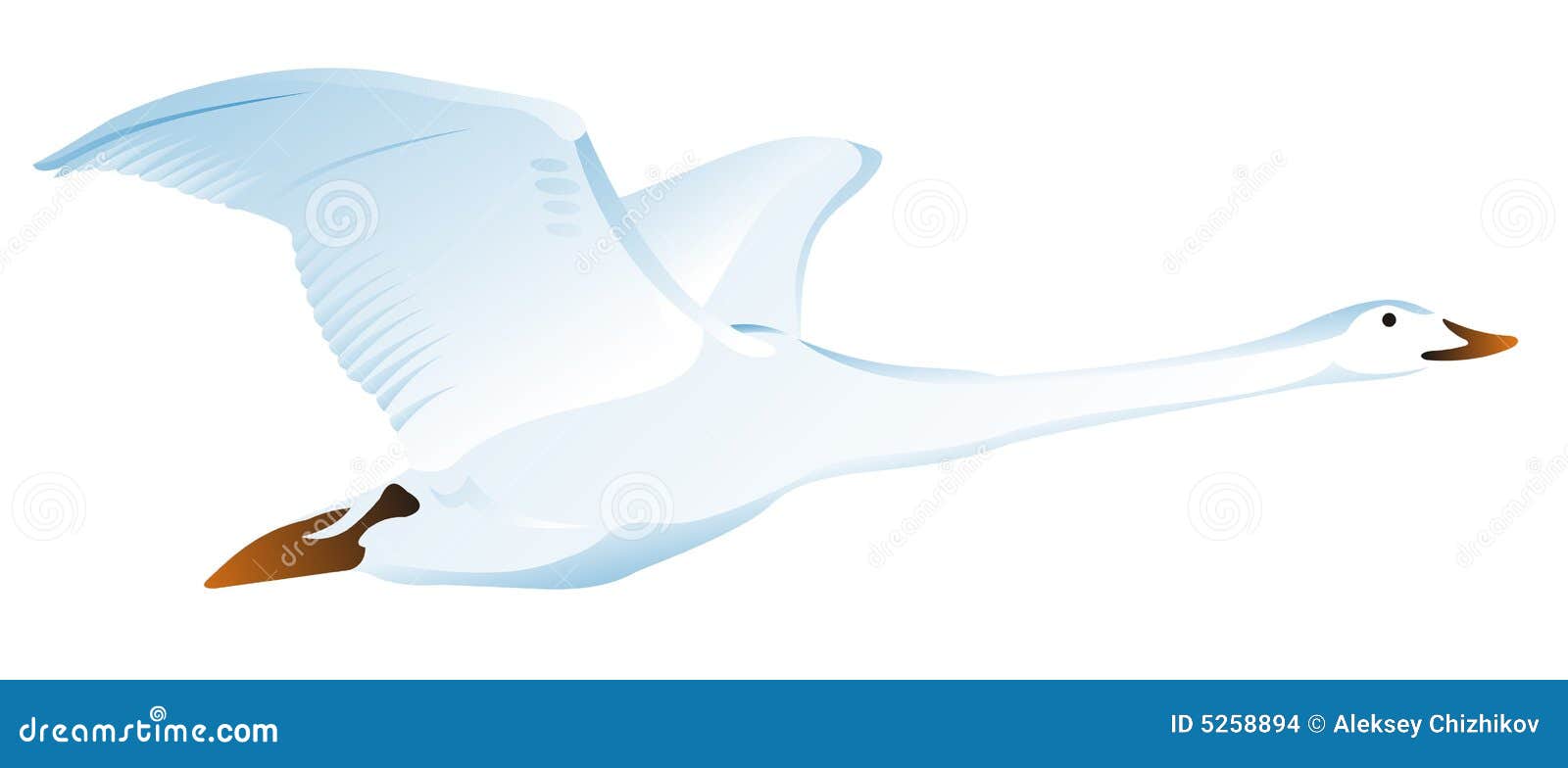 Swan stock vector. Illustration of river, flight, bird - 5258894
