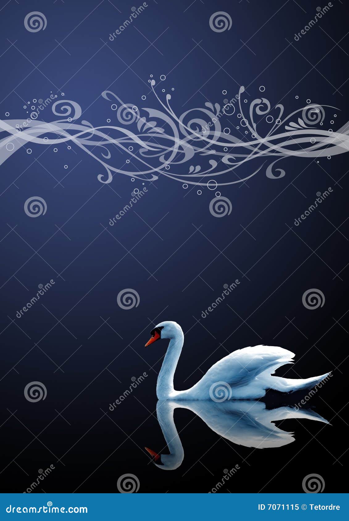 The Swan on Blue Background Stock Illustration - Illustration of ...