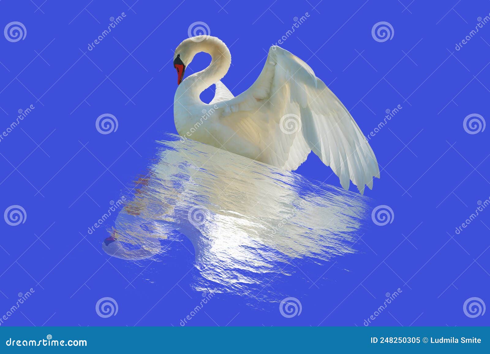 Swan on a blue surface stock image. Image of abstract - 248250305