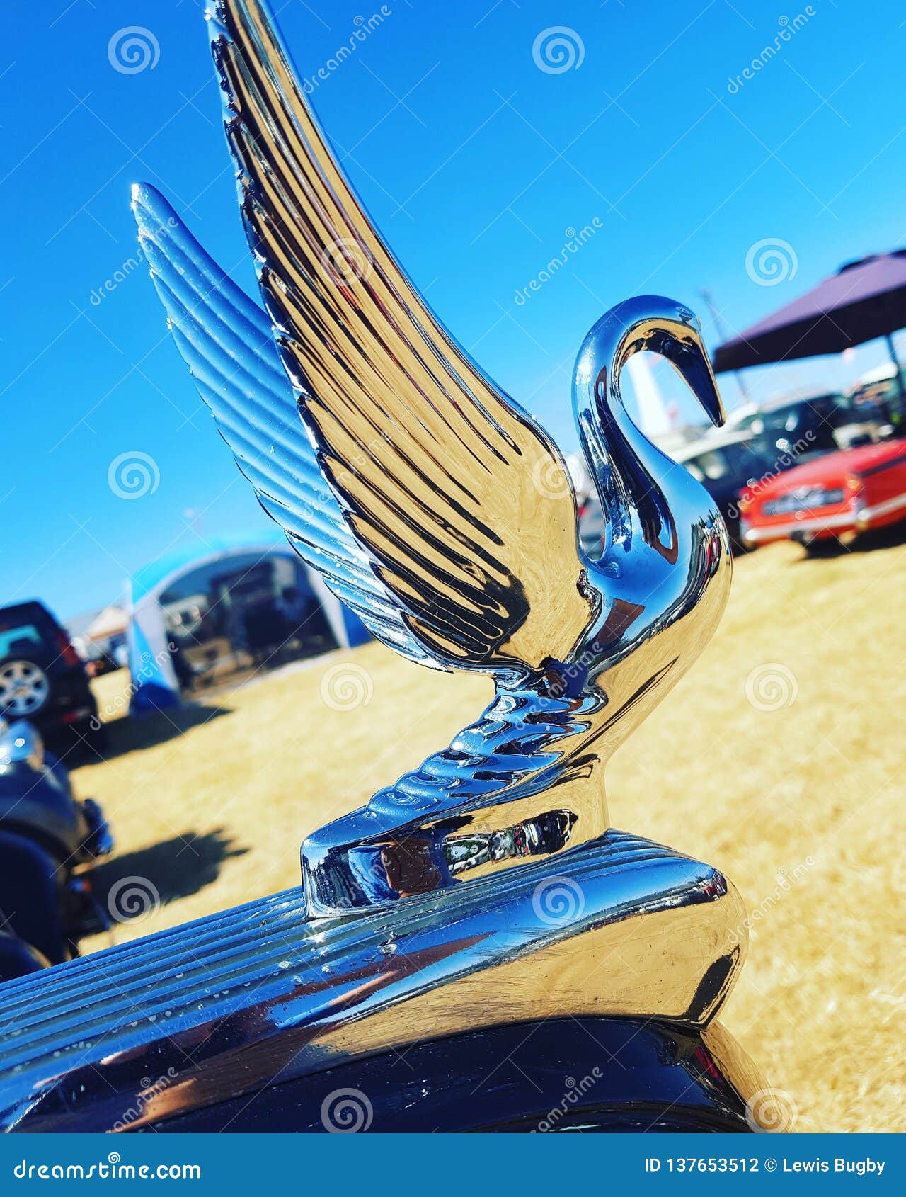 Swan car sculpture stock photo. Image of swan, sculpture - 137653512