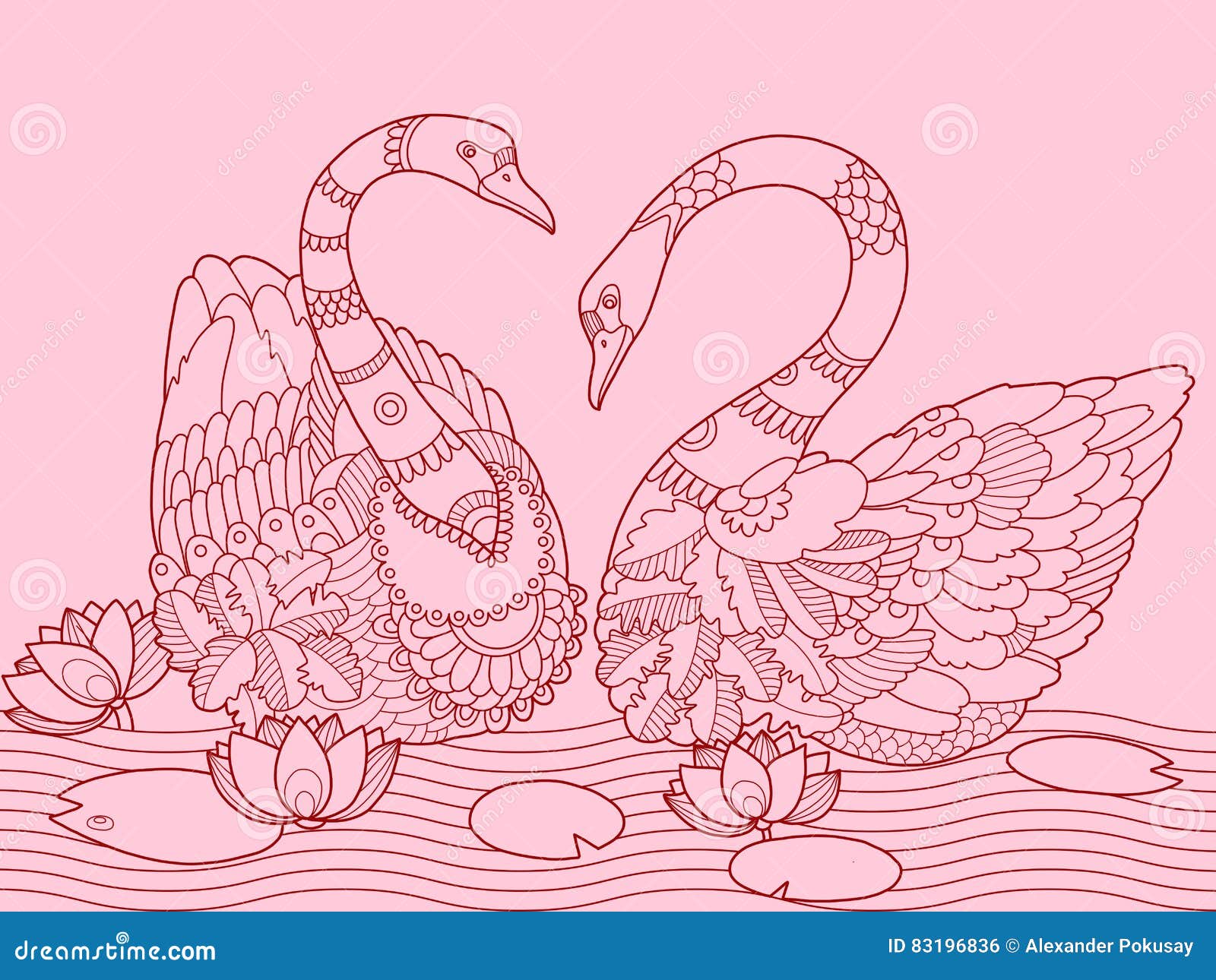 Swan Color Drawing Vector Illustration Stock Vector - Illustration of ...