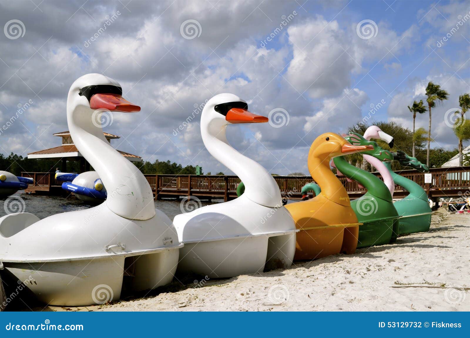 Swan and duck paddle boats stock photo. Image of boat - 53129732