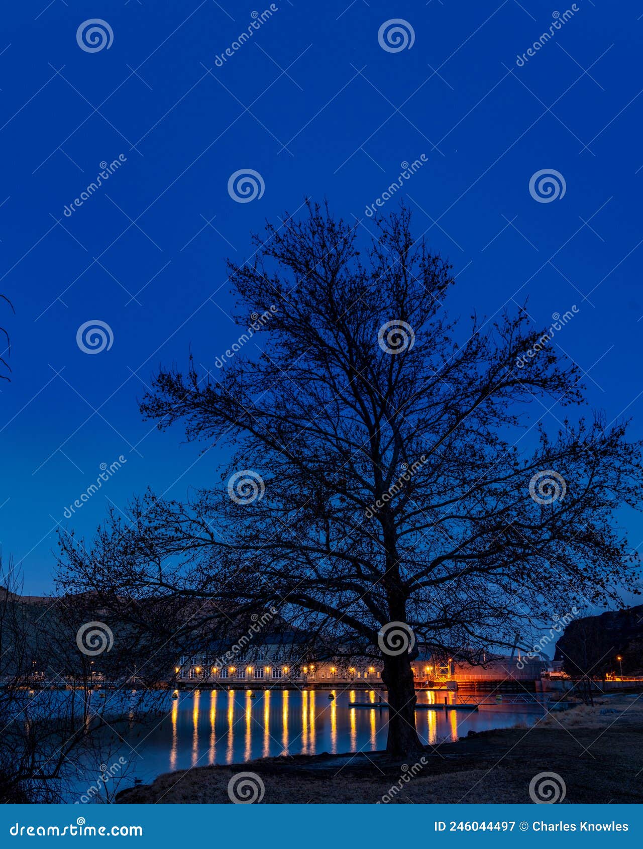 Swan Falls Dam during Blue Hour with Tree Stock Image - Image of swan ...