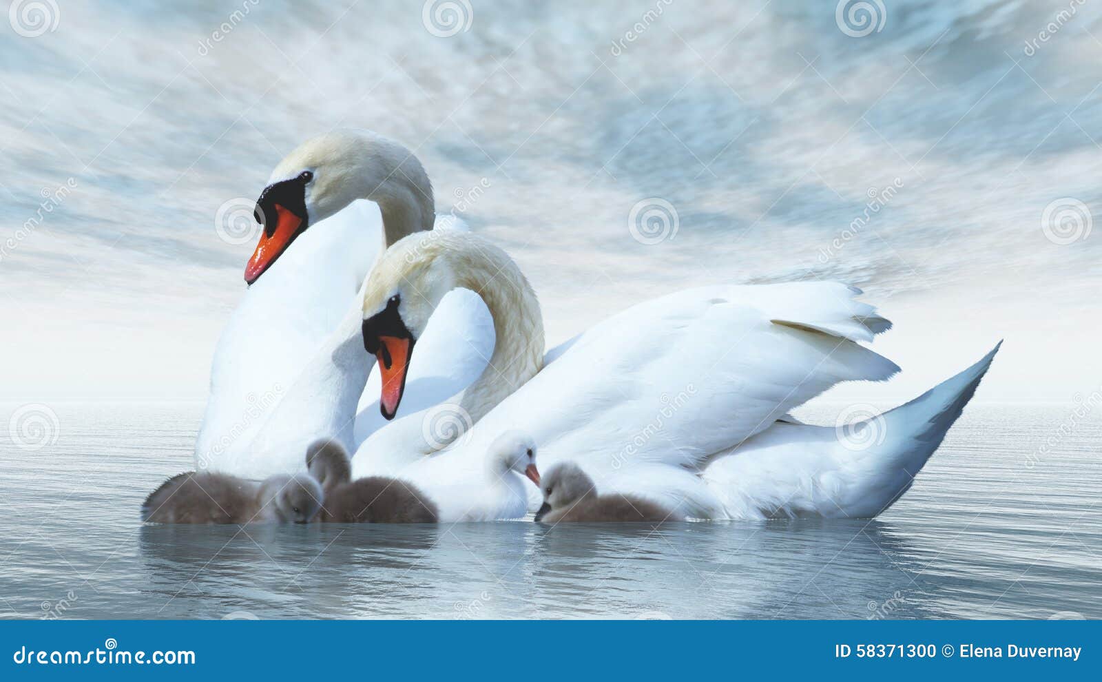 Swan family - 3D render stock illustration. Illustration of white ...
