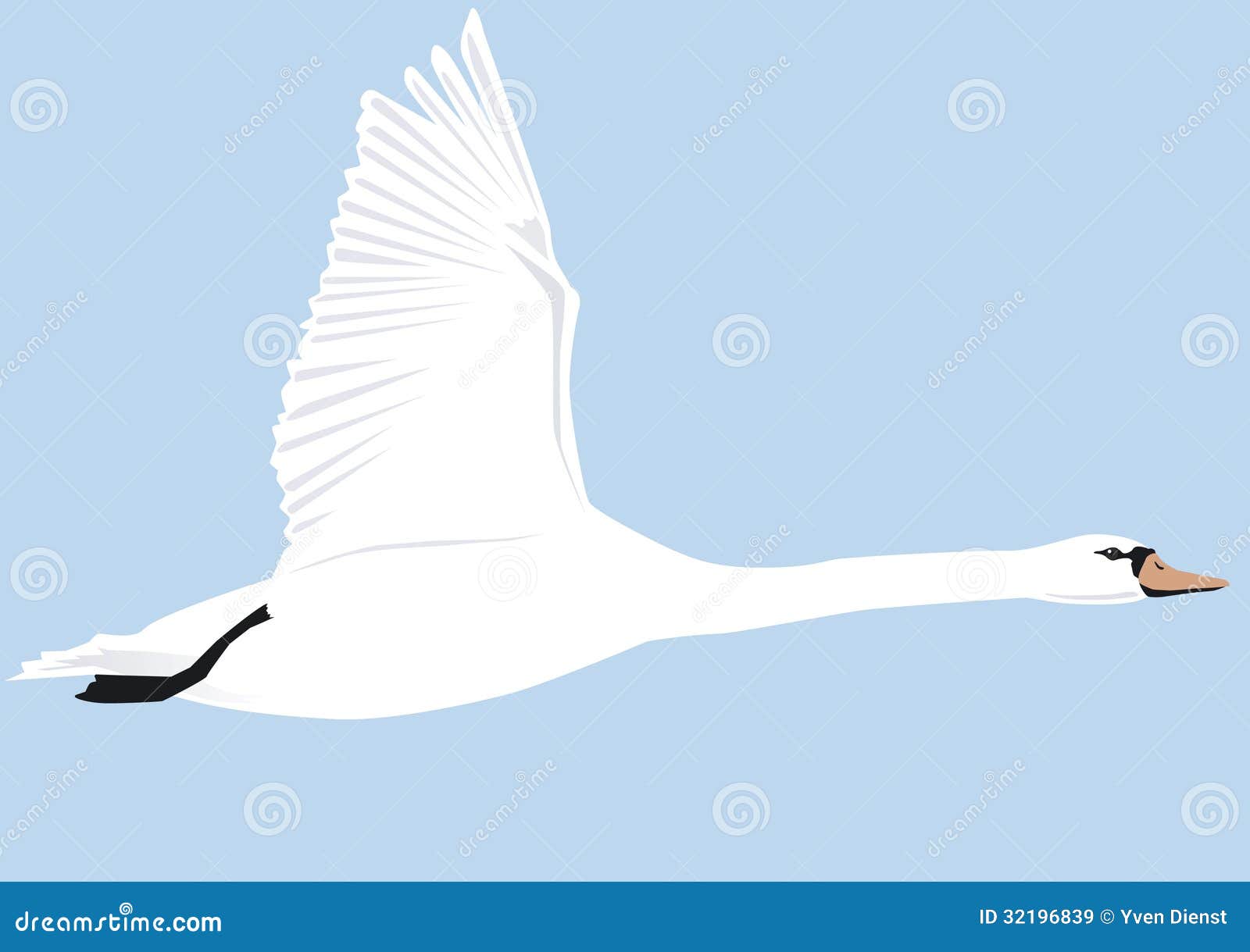 A Swan Flies Shown in the Side View. Stock Illustration - Illustration ...