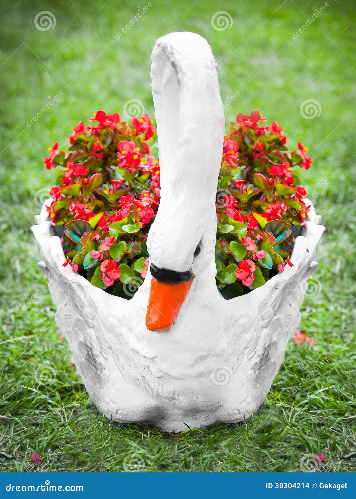 Swan Flower Pot On The Grass Stock Images - Image: 30304214