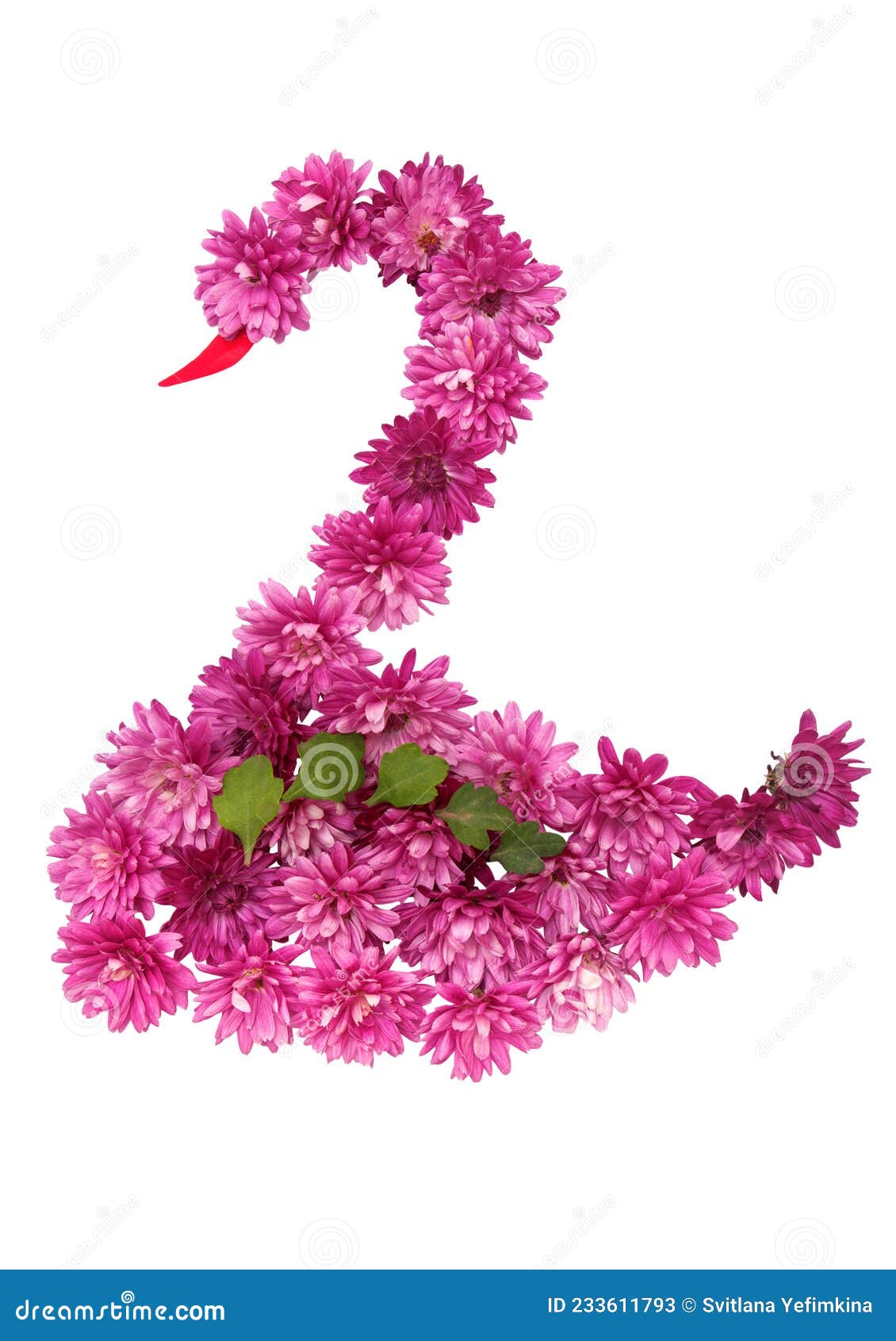 Swan of Flowers, Isolated on White Stock Image - Image of florescence ...