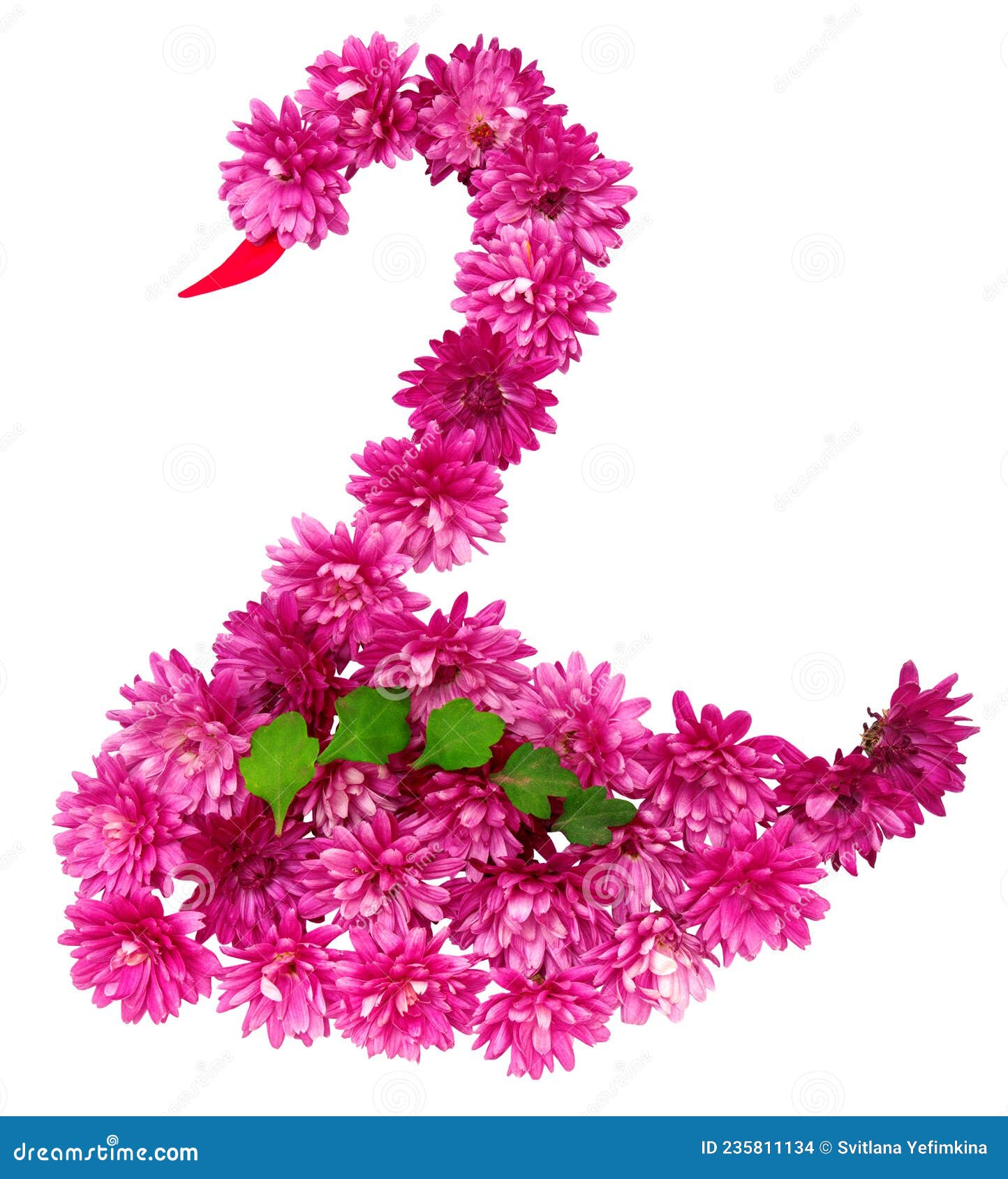 Swan of flowers stock photo. Image of chrysanthemum - 235811134