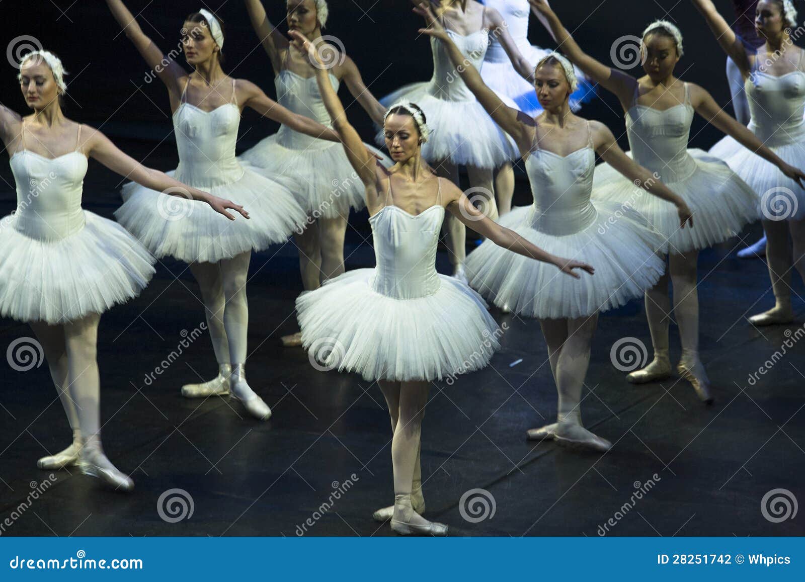 Swan girls, hand up editorial photography. Image of elegant - 28251742