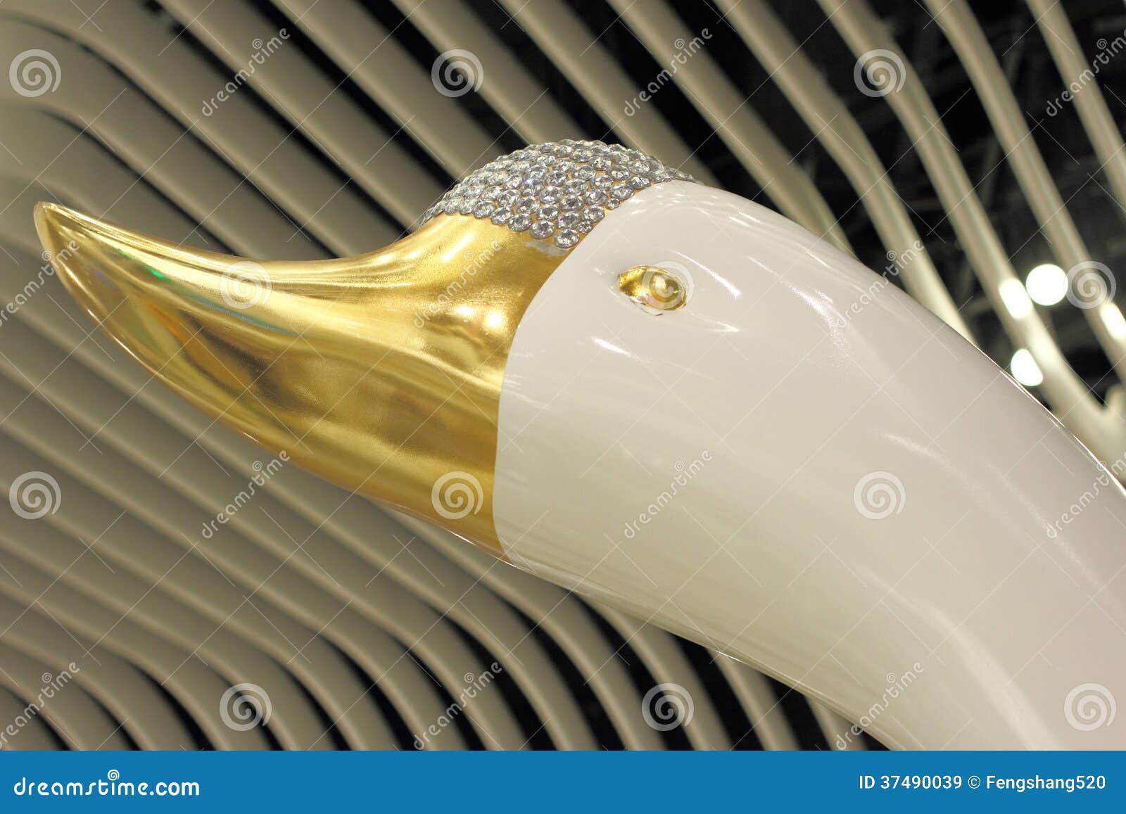 Swan head shape stock image. Image of vertical, effects - 37490039