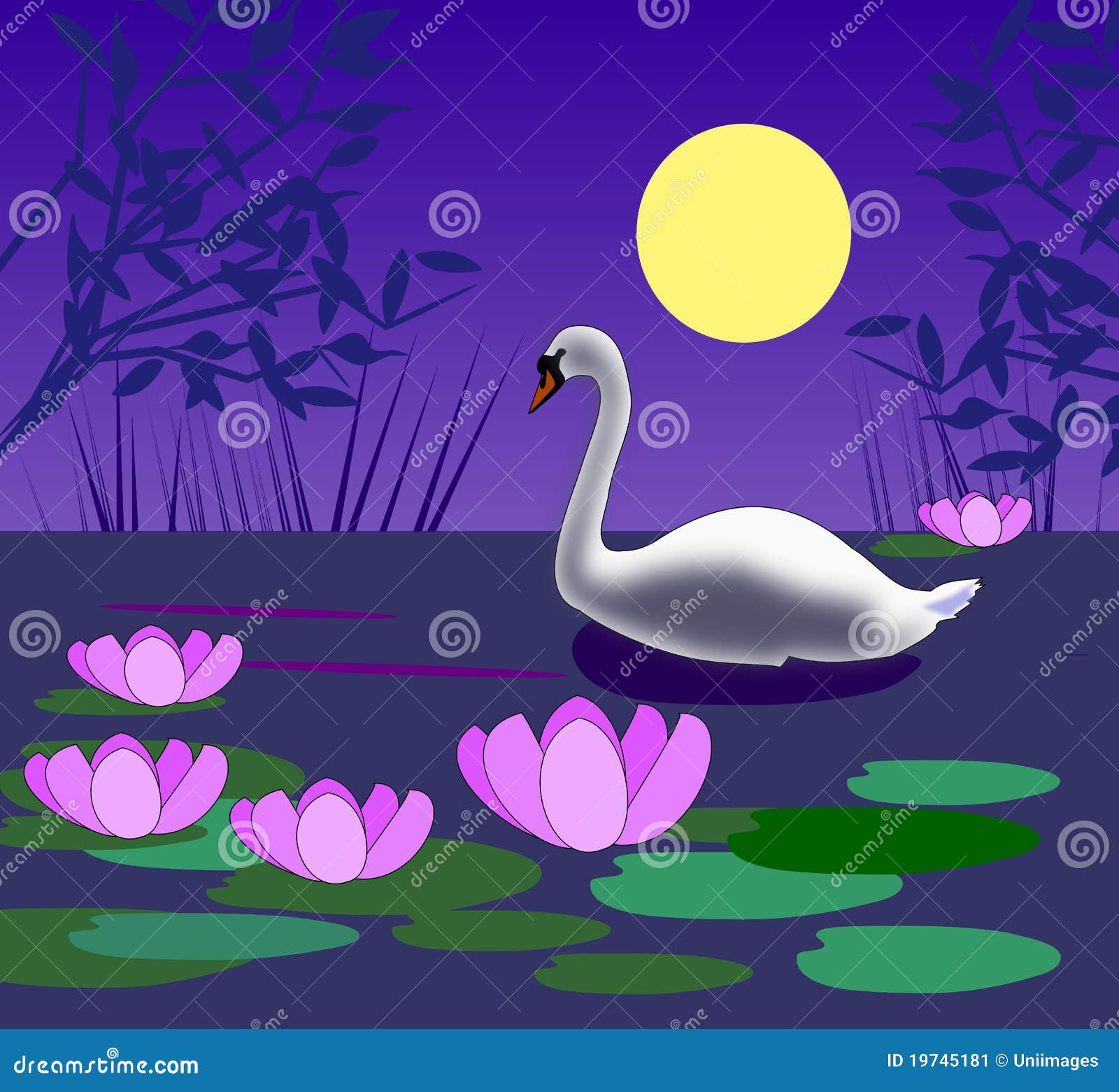 Swan in the Moonlight stock illustration. Illustration of lilies - 19745181