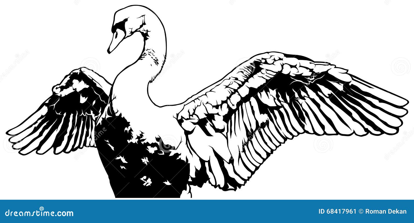 Swan with Outstretched Wings Stock Vector - Illustration of sketch ...