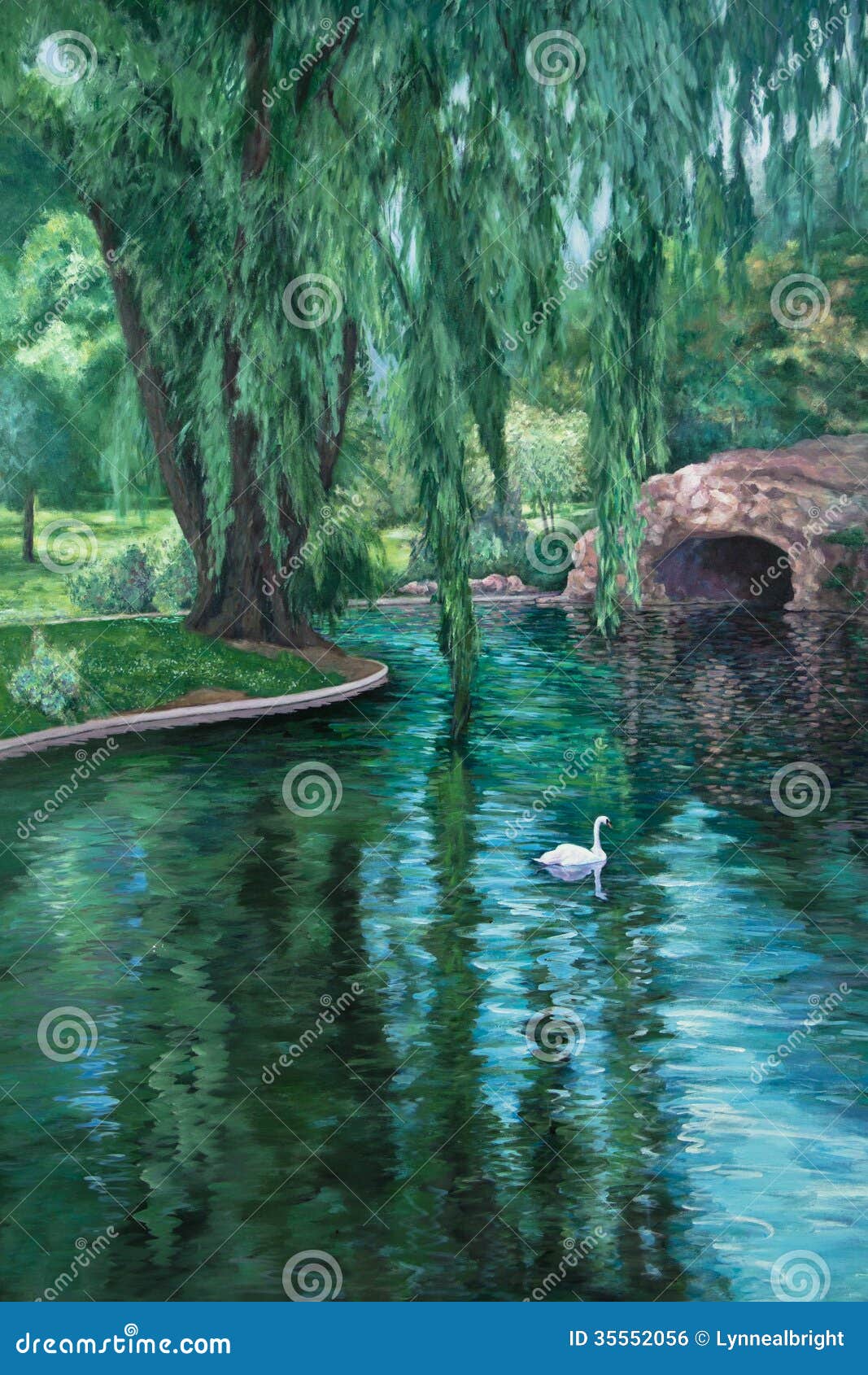 Swan in a Park Pond stock photo. Image of water, bird - 35552056